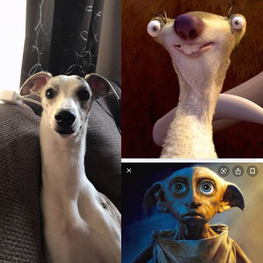 My house giraffe is the love child between a house elf and Sid the ...