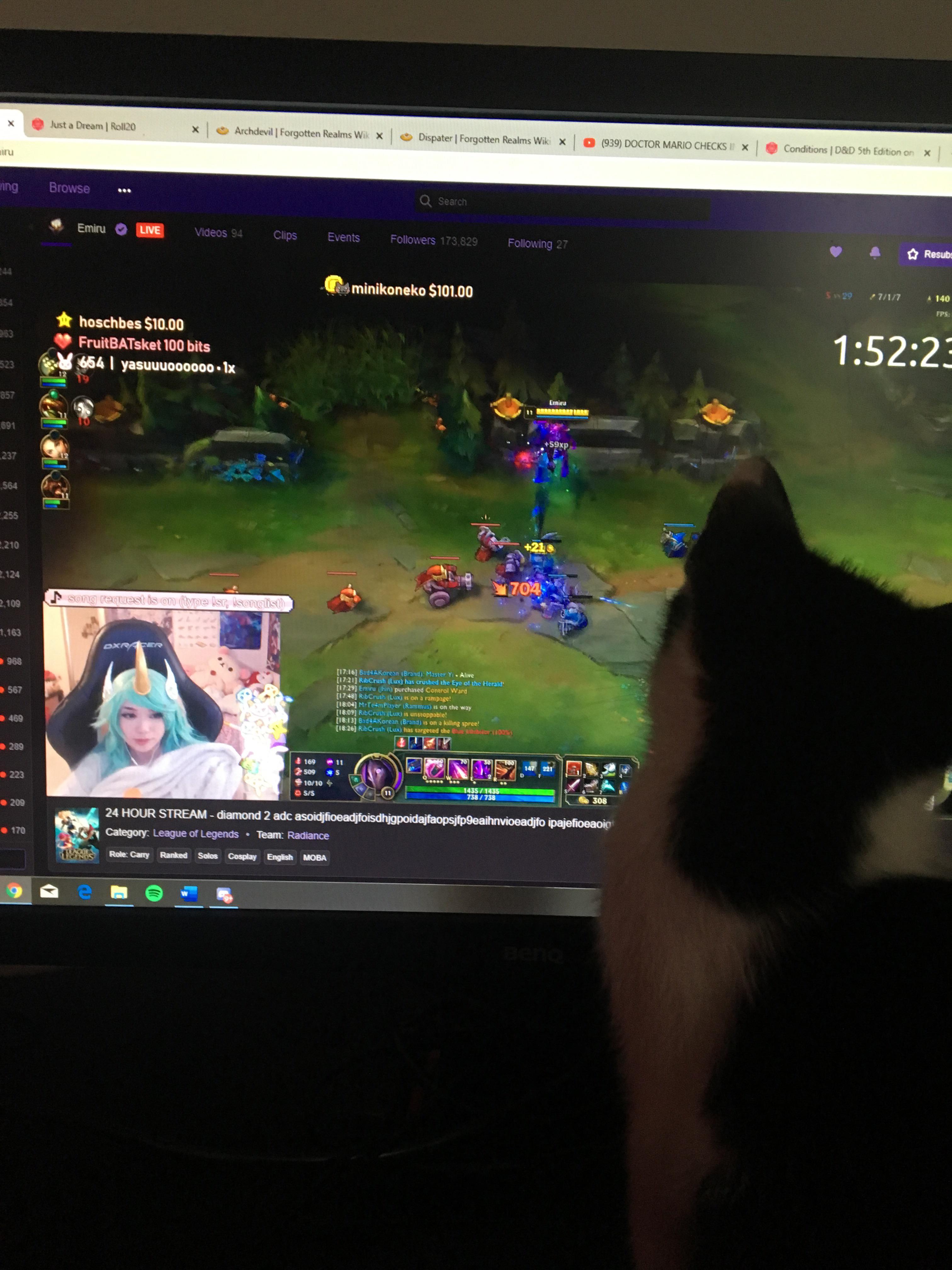 My Kitten enjoying the tail end of Emiru’s 24hr stream | Scrolller