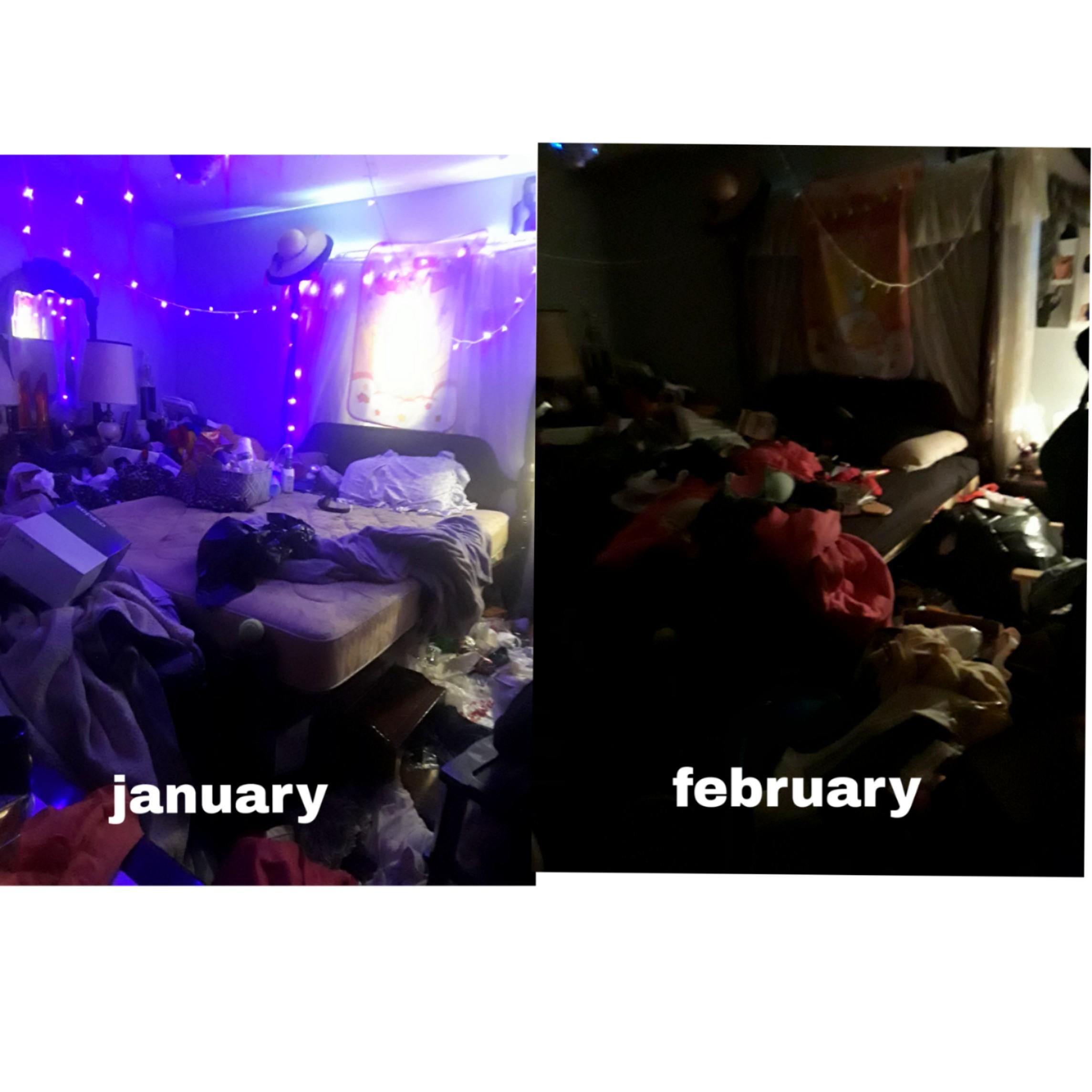 my legbeard nest :) | Scrolller