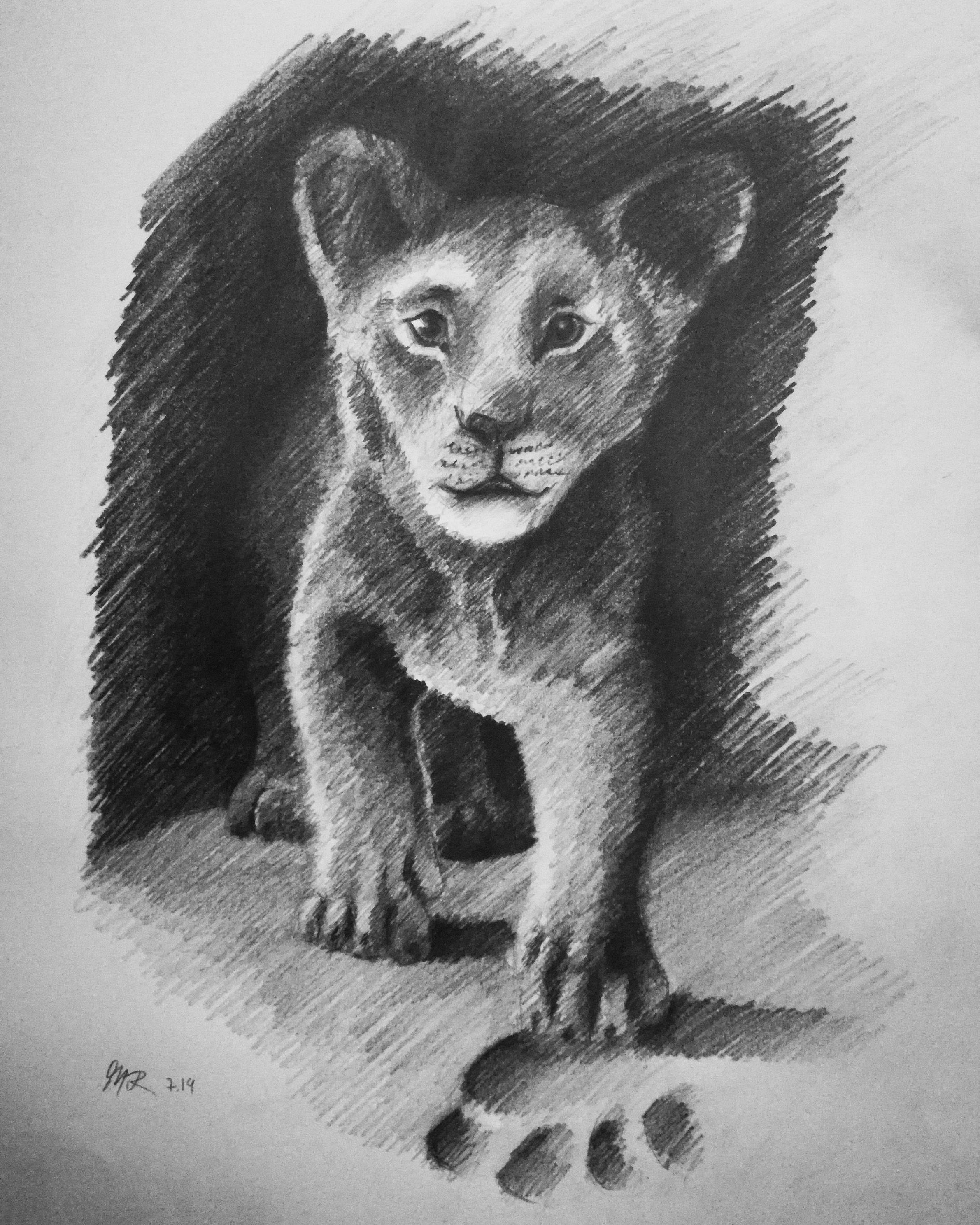 My Lion King drawing! | Scrolller