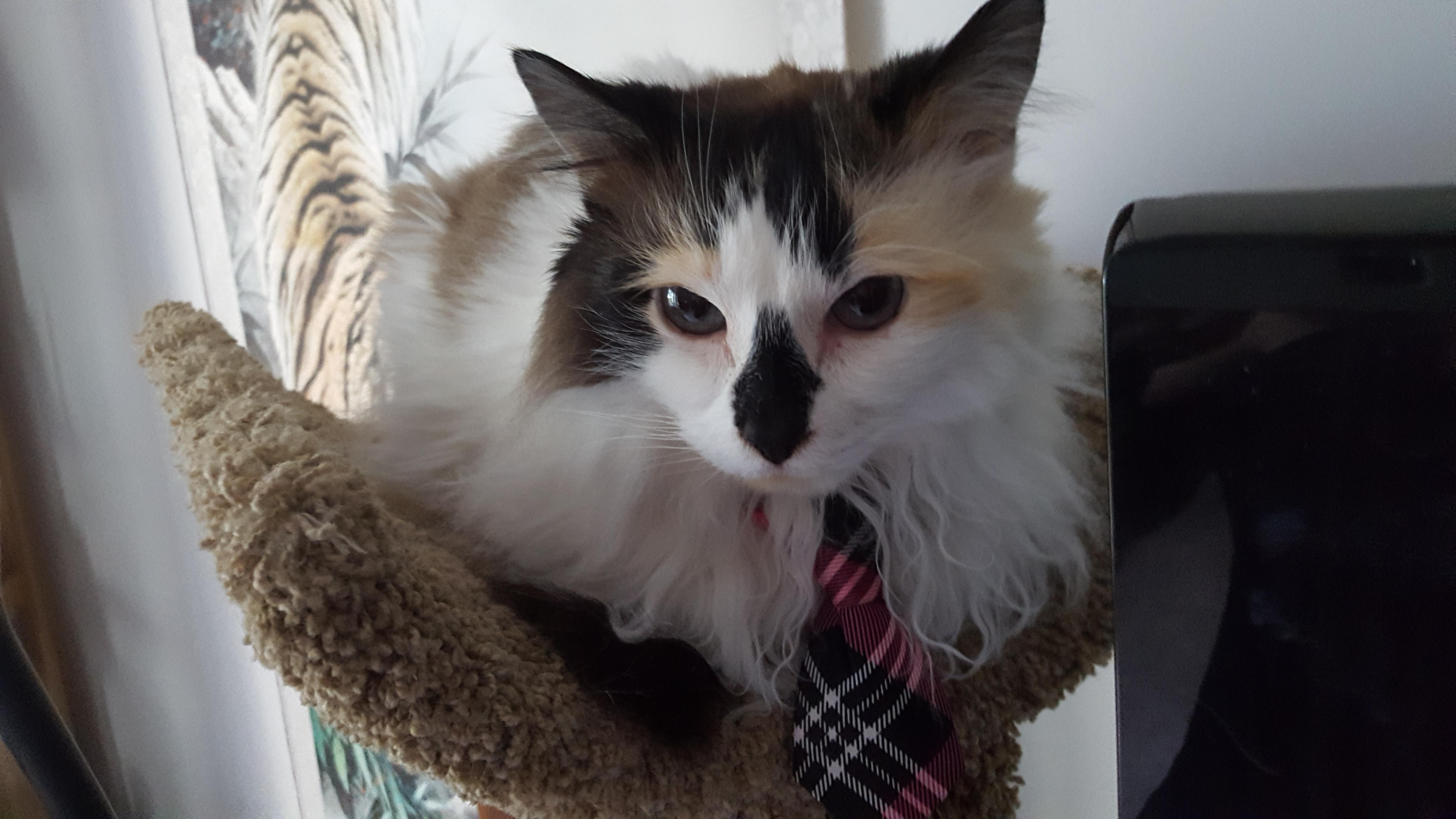 My little Aura looking fab | Scrolller