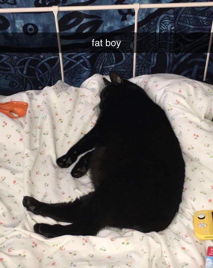 My little blob | Scrolller