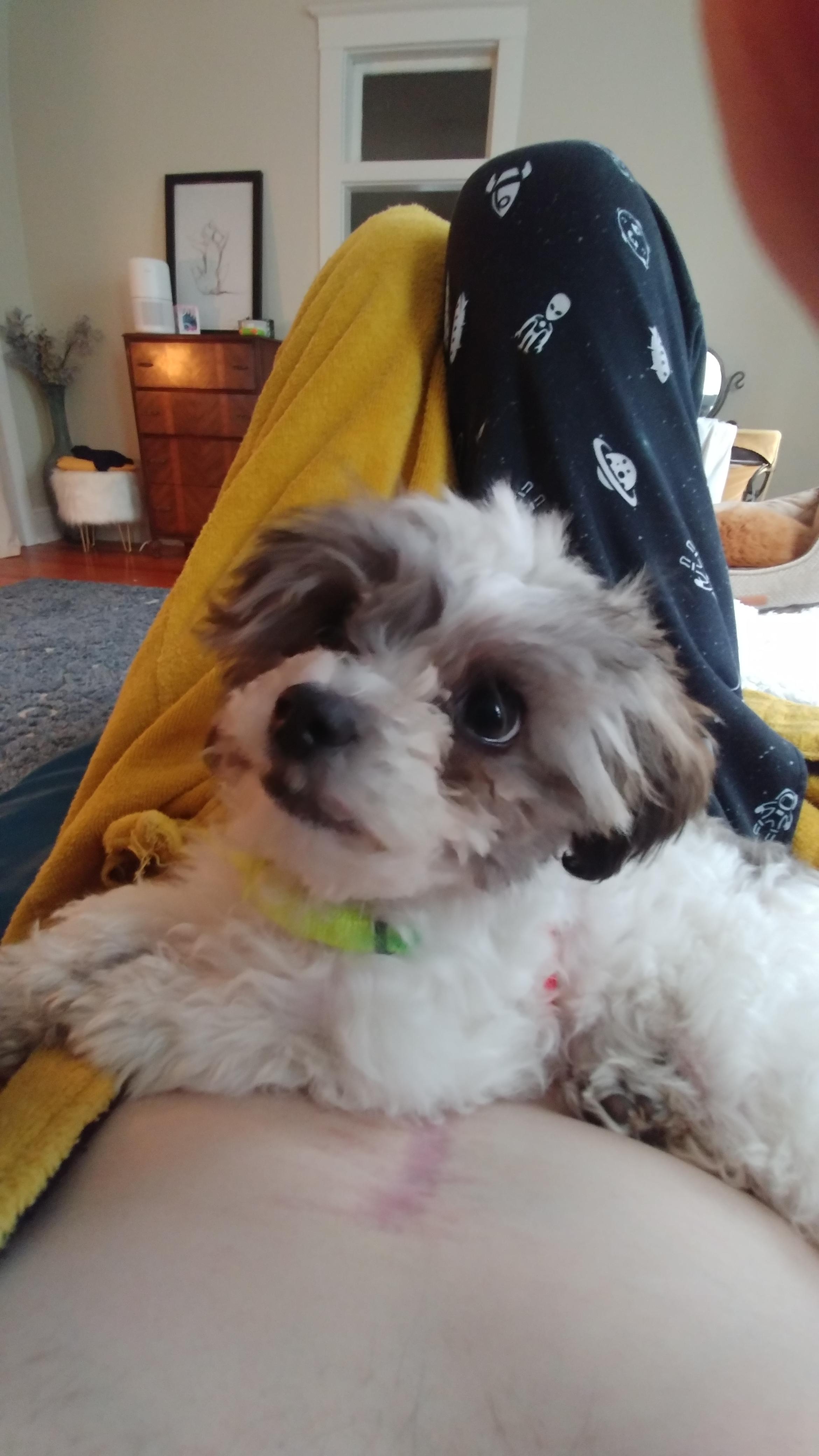 My little boy is 5 months old today! | Scrolller