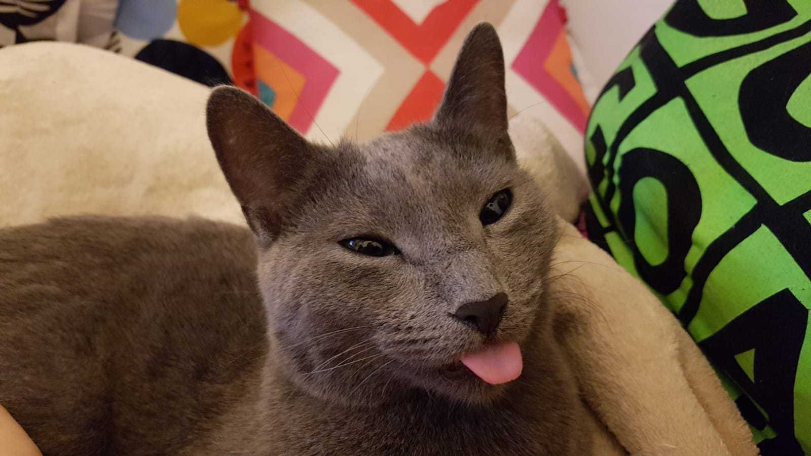 My little brat 😜 | Scrolller