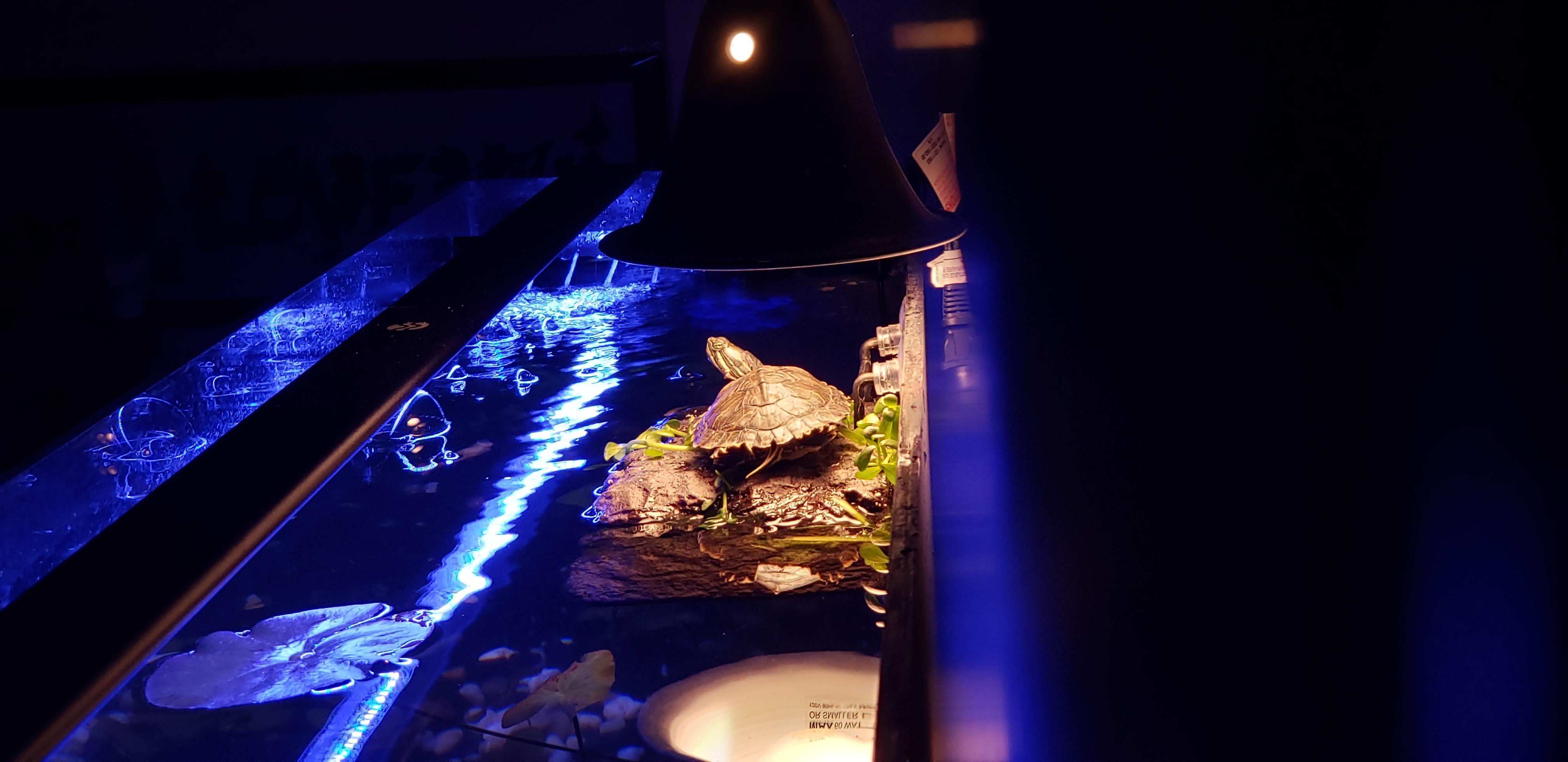 My little girl catching some rays before bedtime. | Scrolller