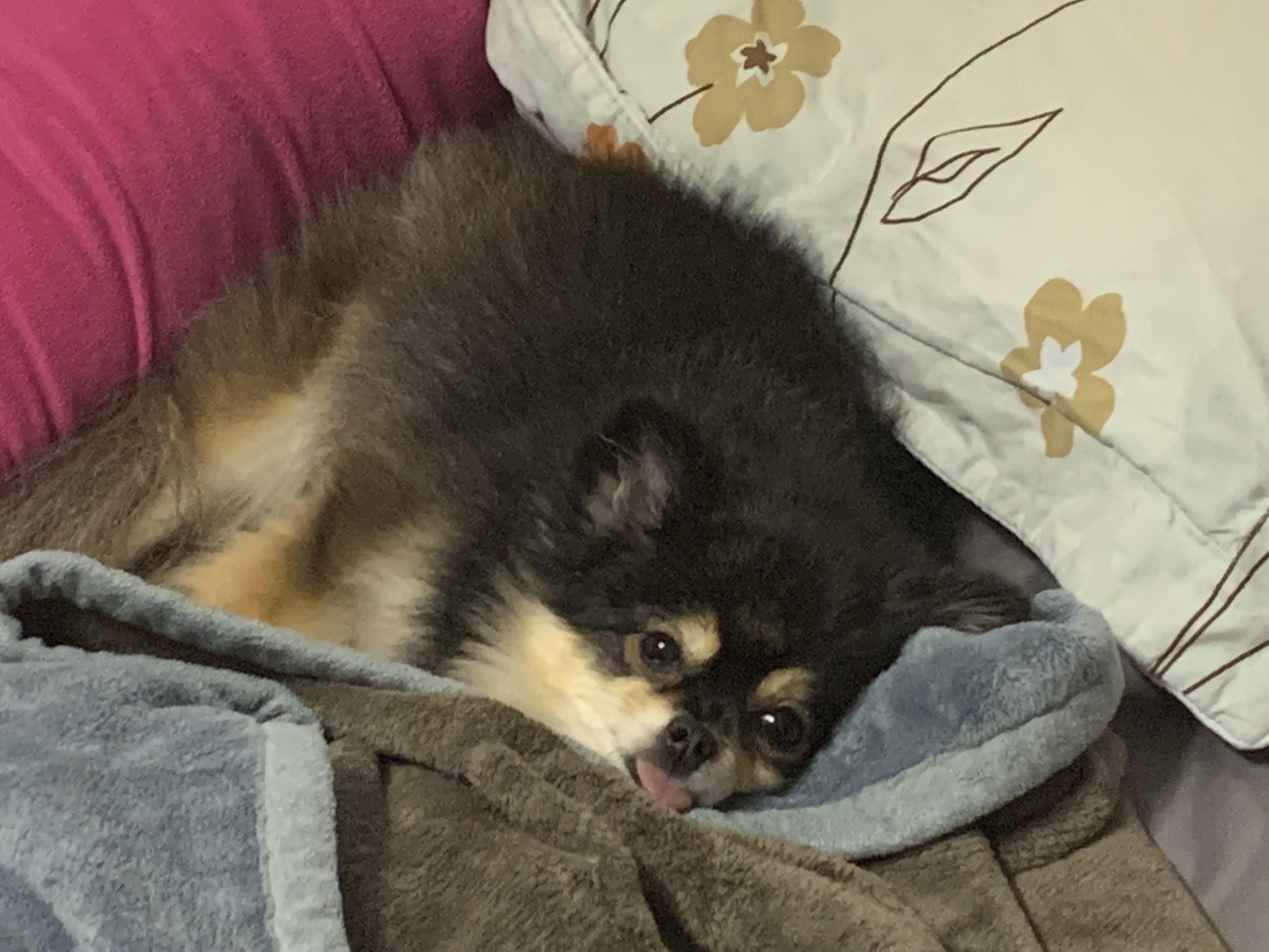 My little girl entering derp mode before bed. | Scrolller