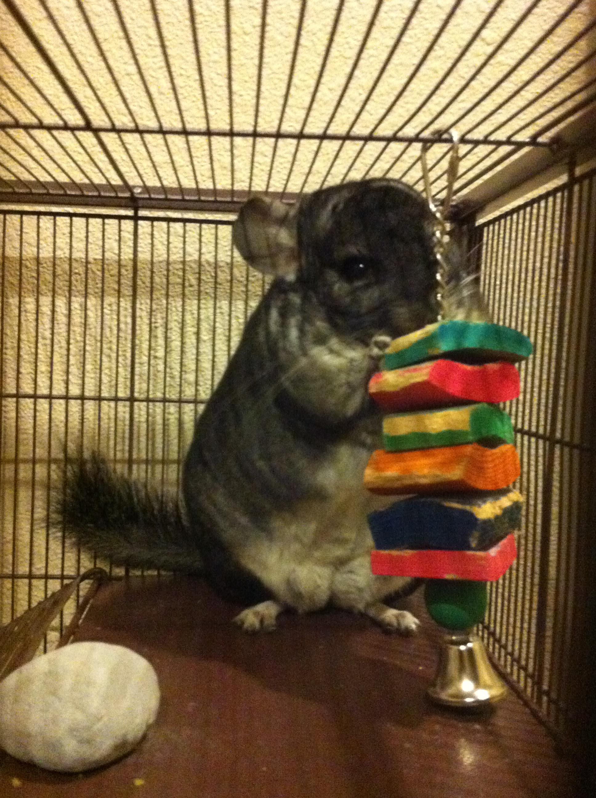 My Little Guy | Scrolller