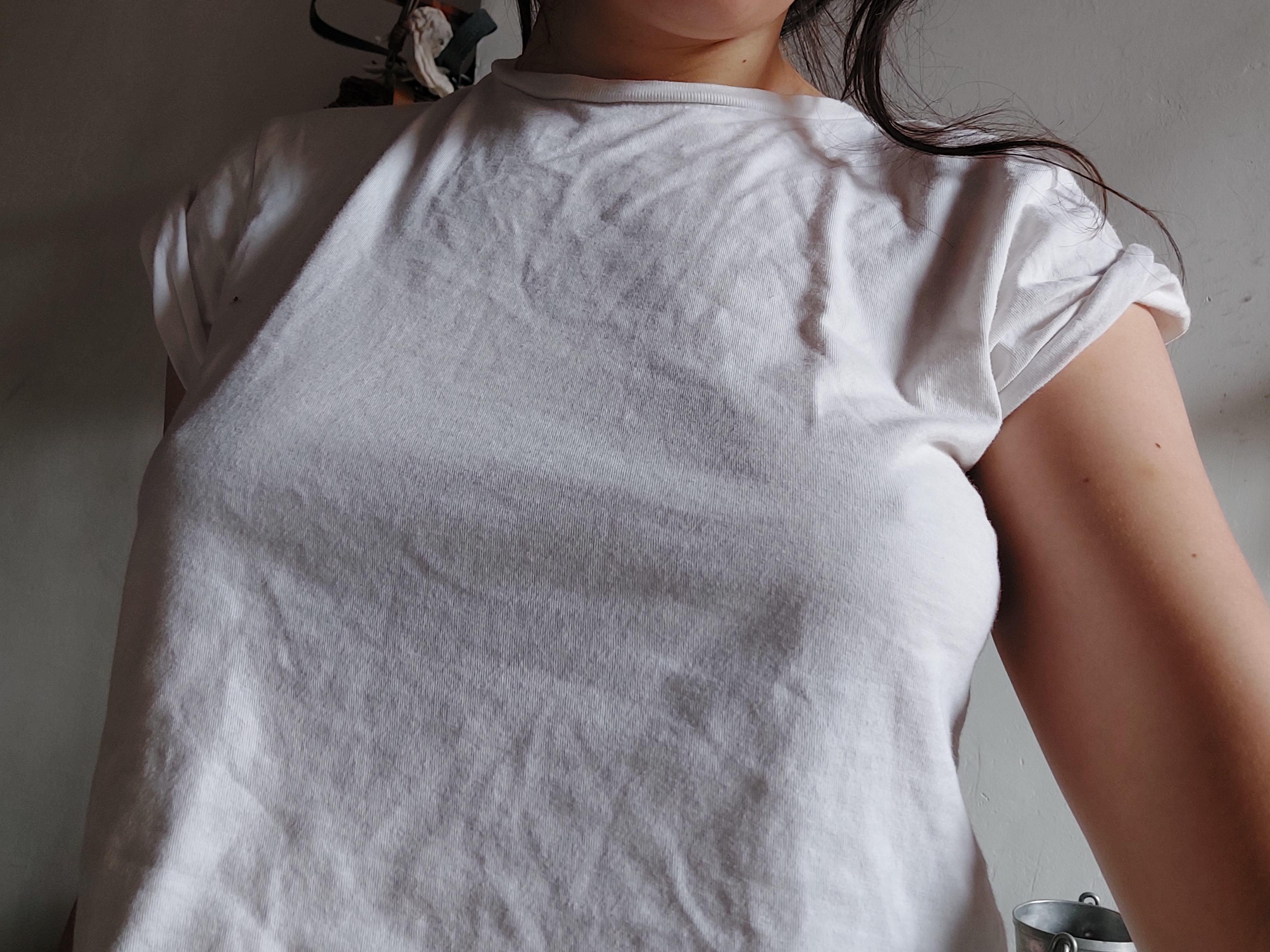 My little pointers say hi | Scrolller