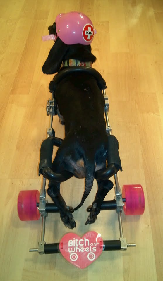 My Little Rollergirl | Scrolller