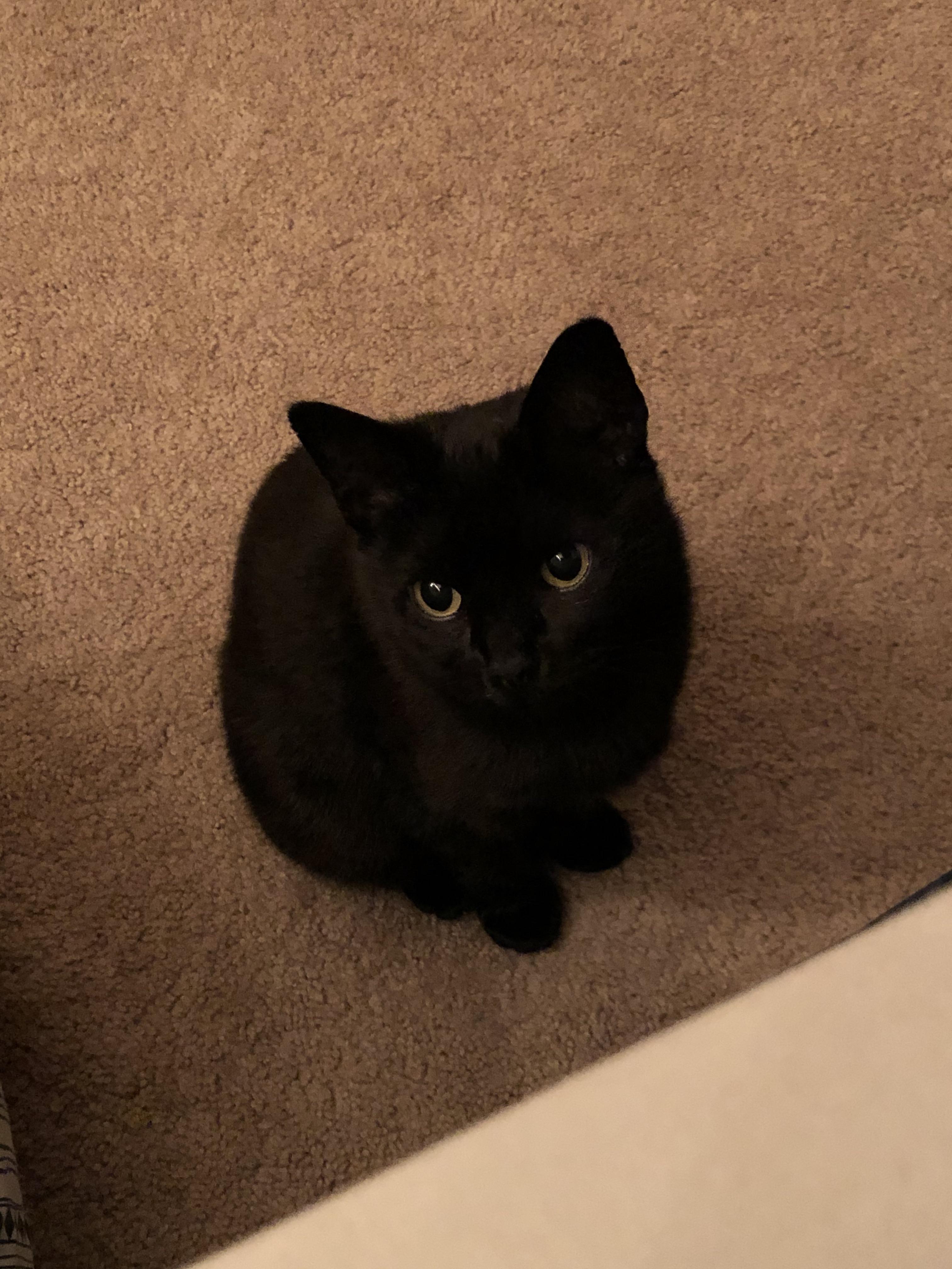 My little void ️ | Scrolller