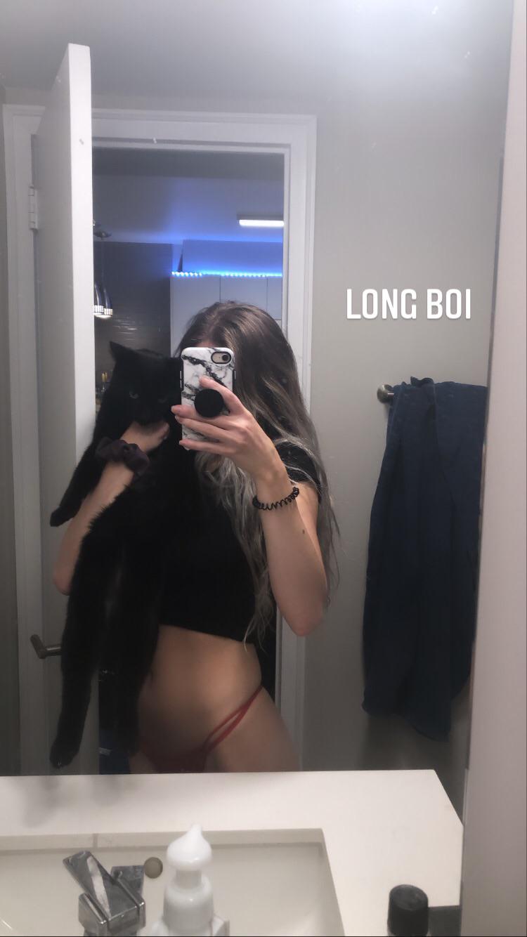 My long boi, Marley. | Scrolller