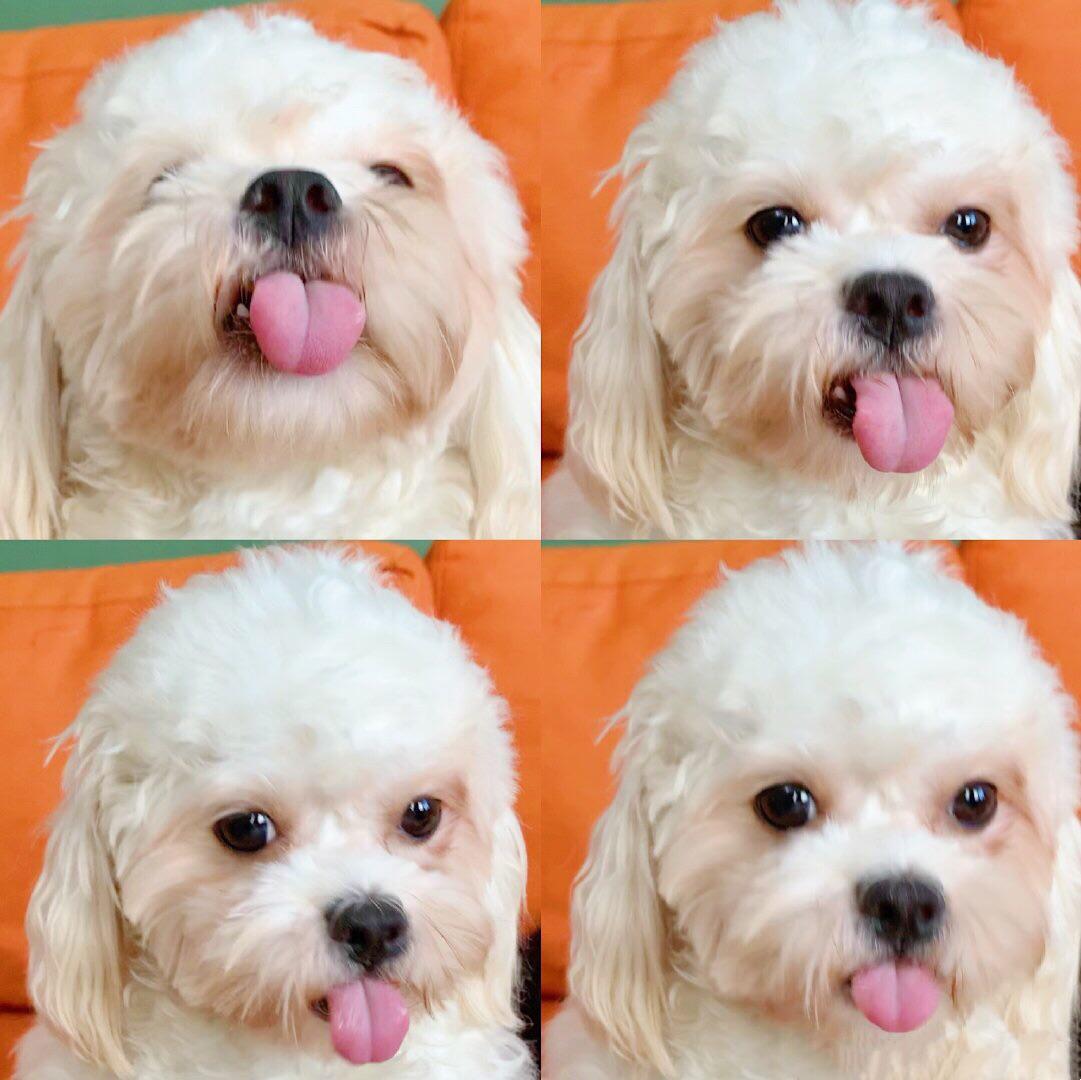 My lovely son | Scrolller