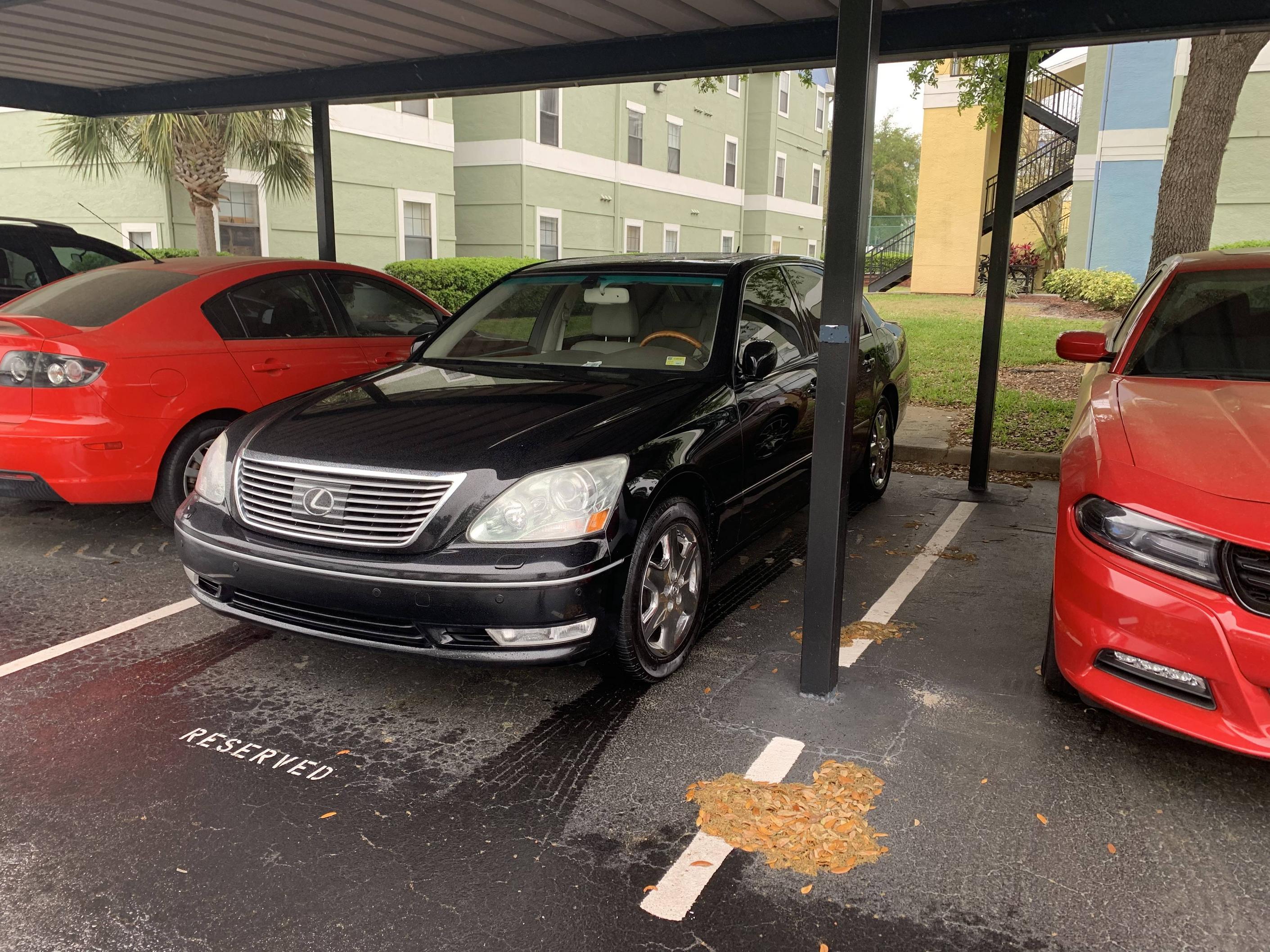 My LS sittin’ pretty | Scrolller