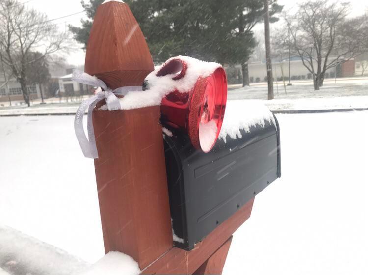 My Mailbox on the First Snow of the Season (NoVa)(OC) | Scrolller