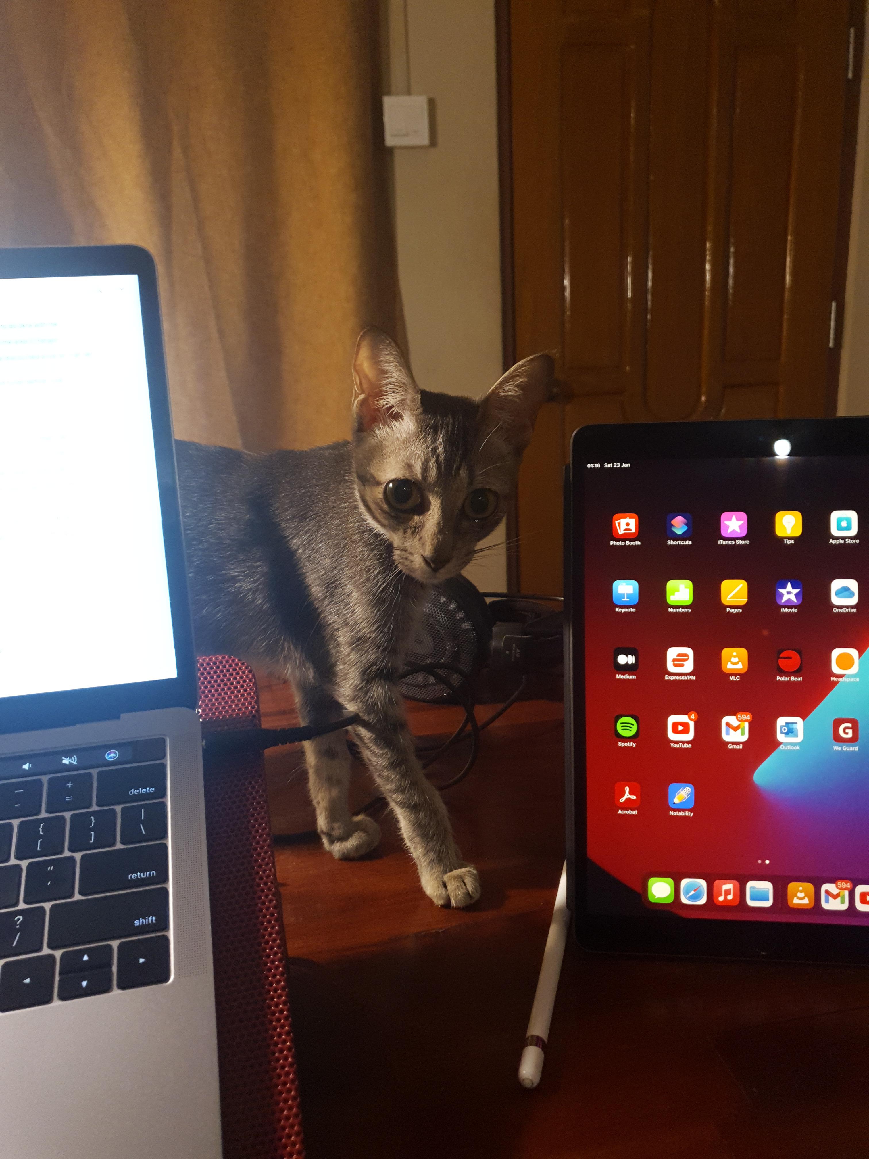 My manager is always checking in on me | Scrolller