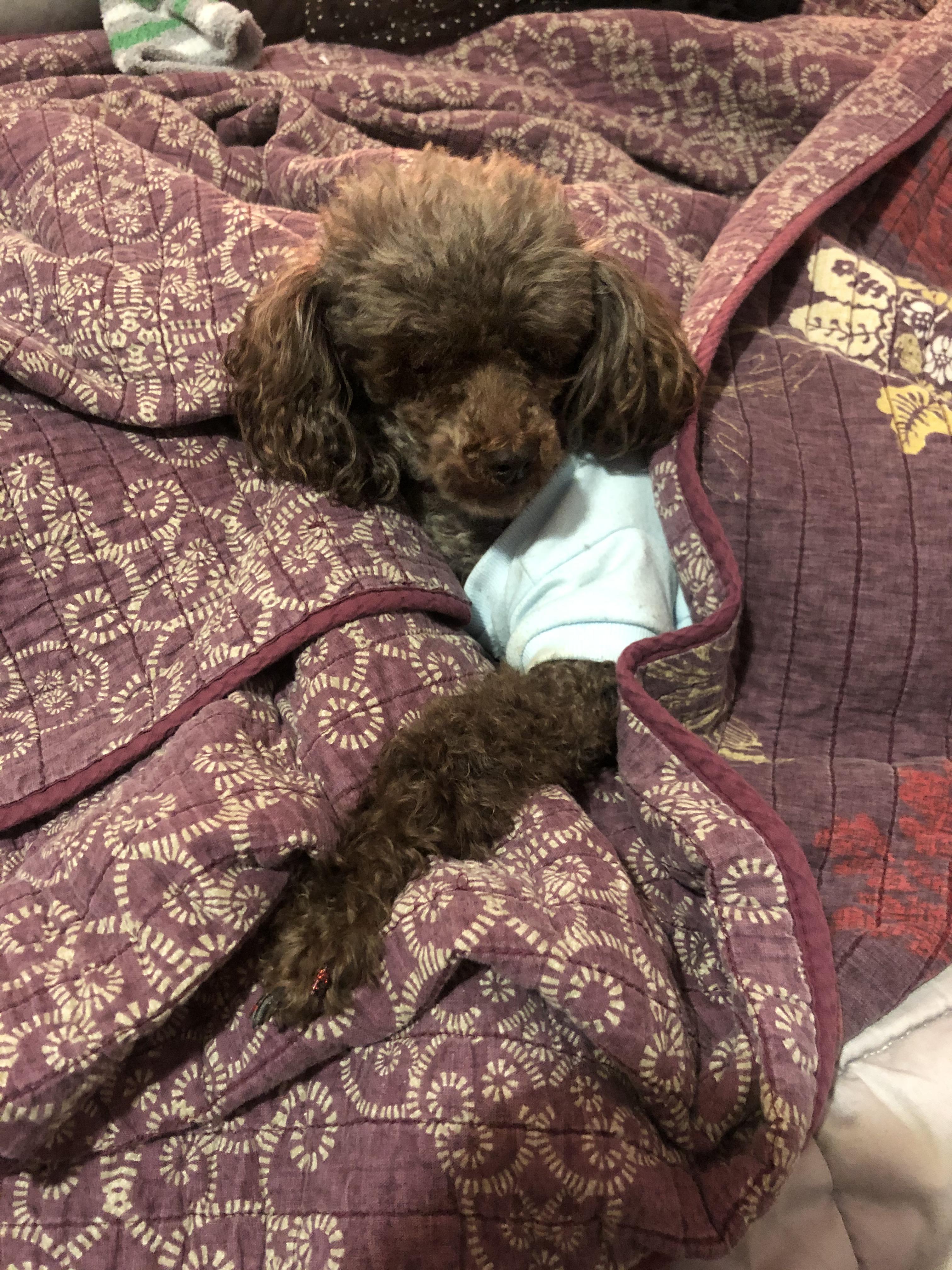 My Matilda, a perfect specimen | Scrolller