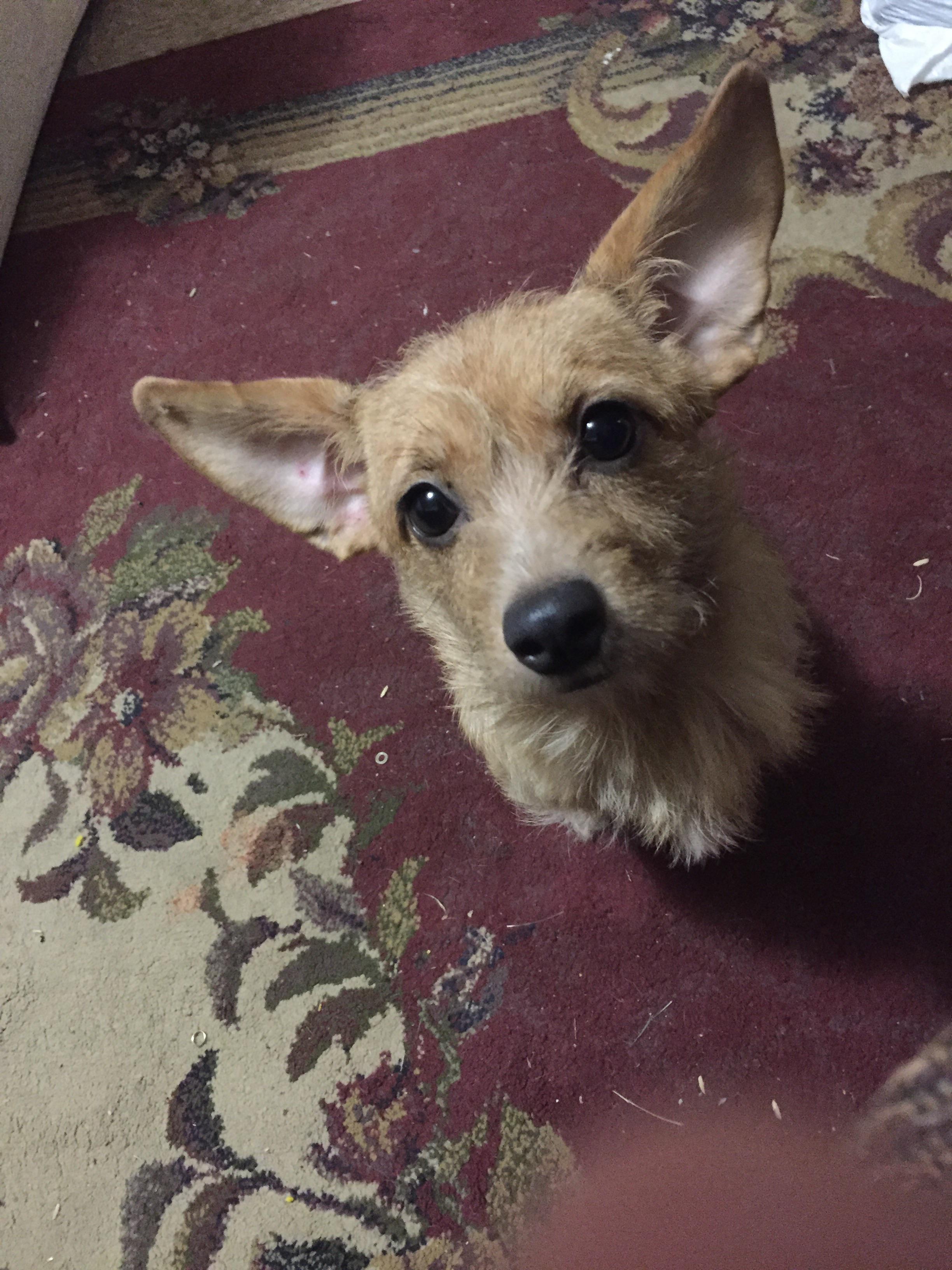 My Molly :D | Scrolller