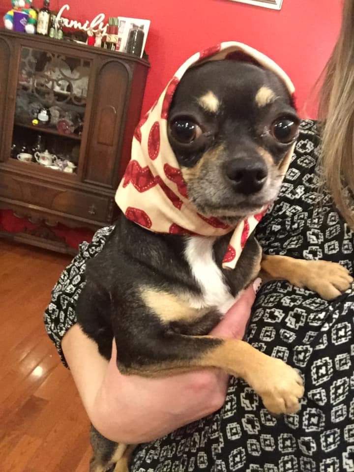 my mom's little babushka | Scrolller