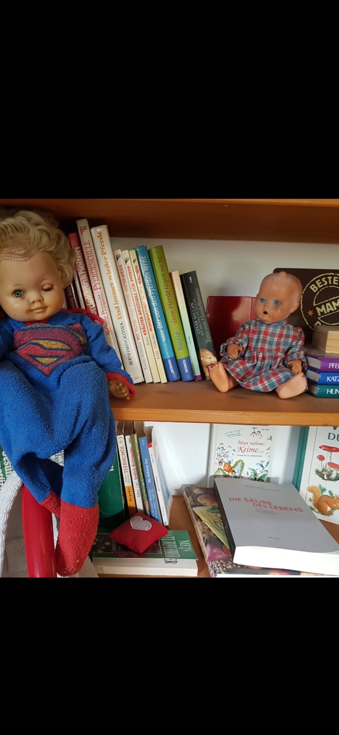 My Mothers Bookshelf Scrolller