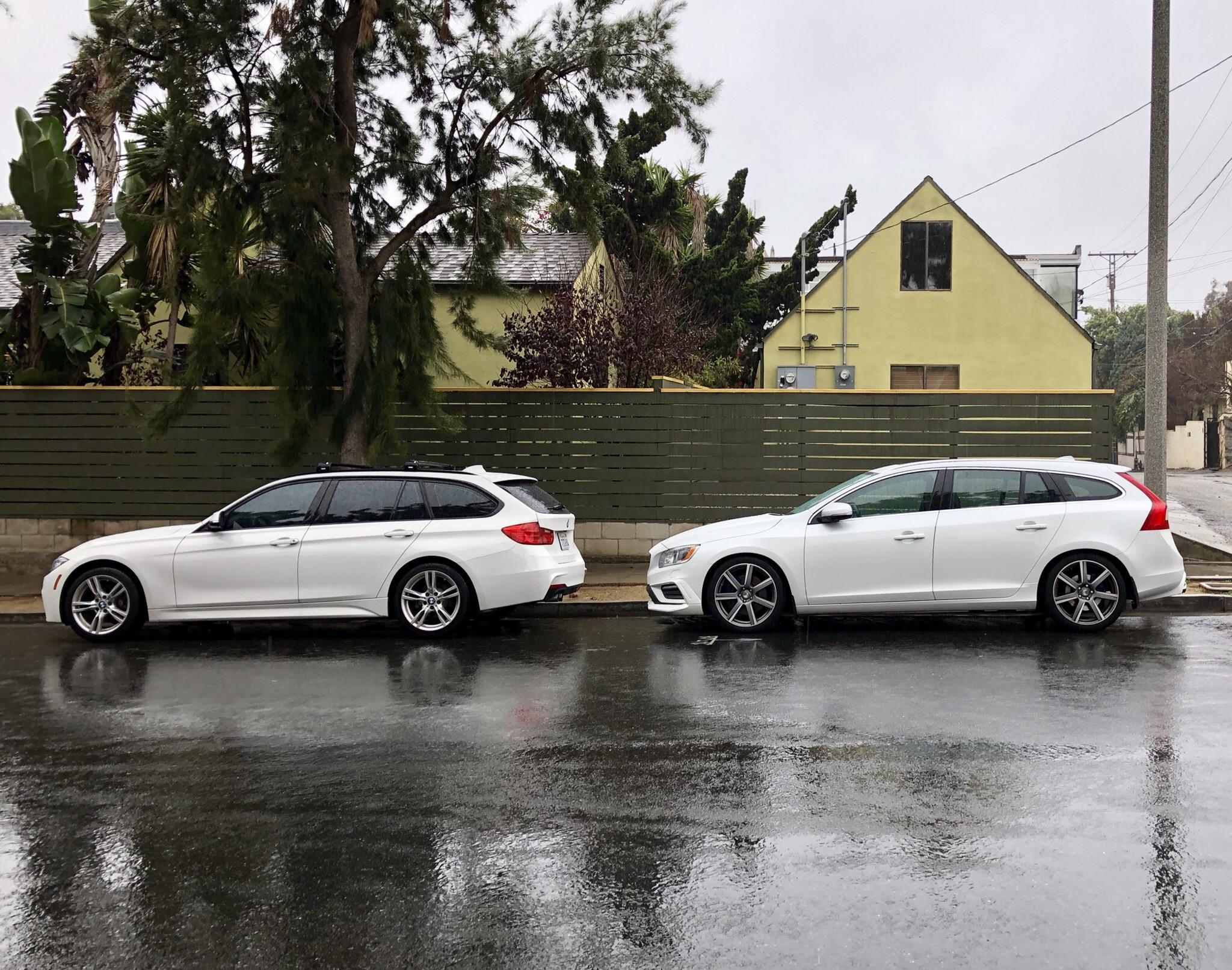 My neighborhood parking buddy | Scrolller