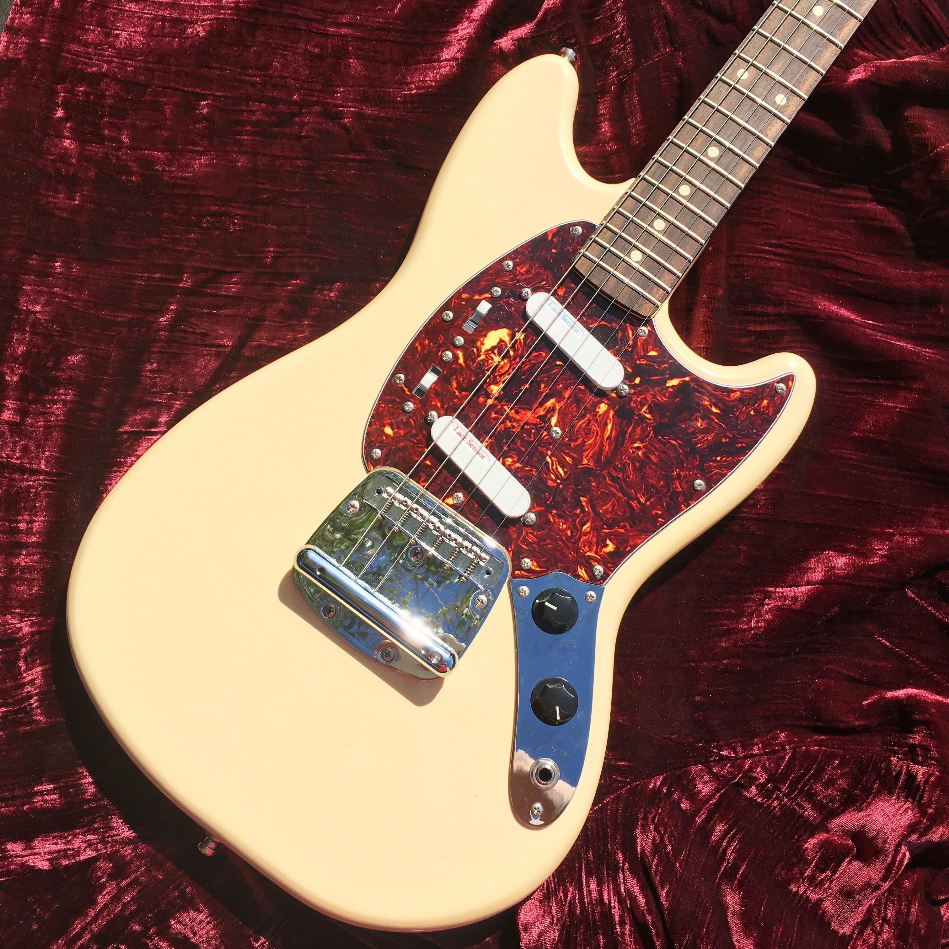 My New Buddy | Scrolller