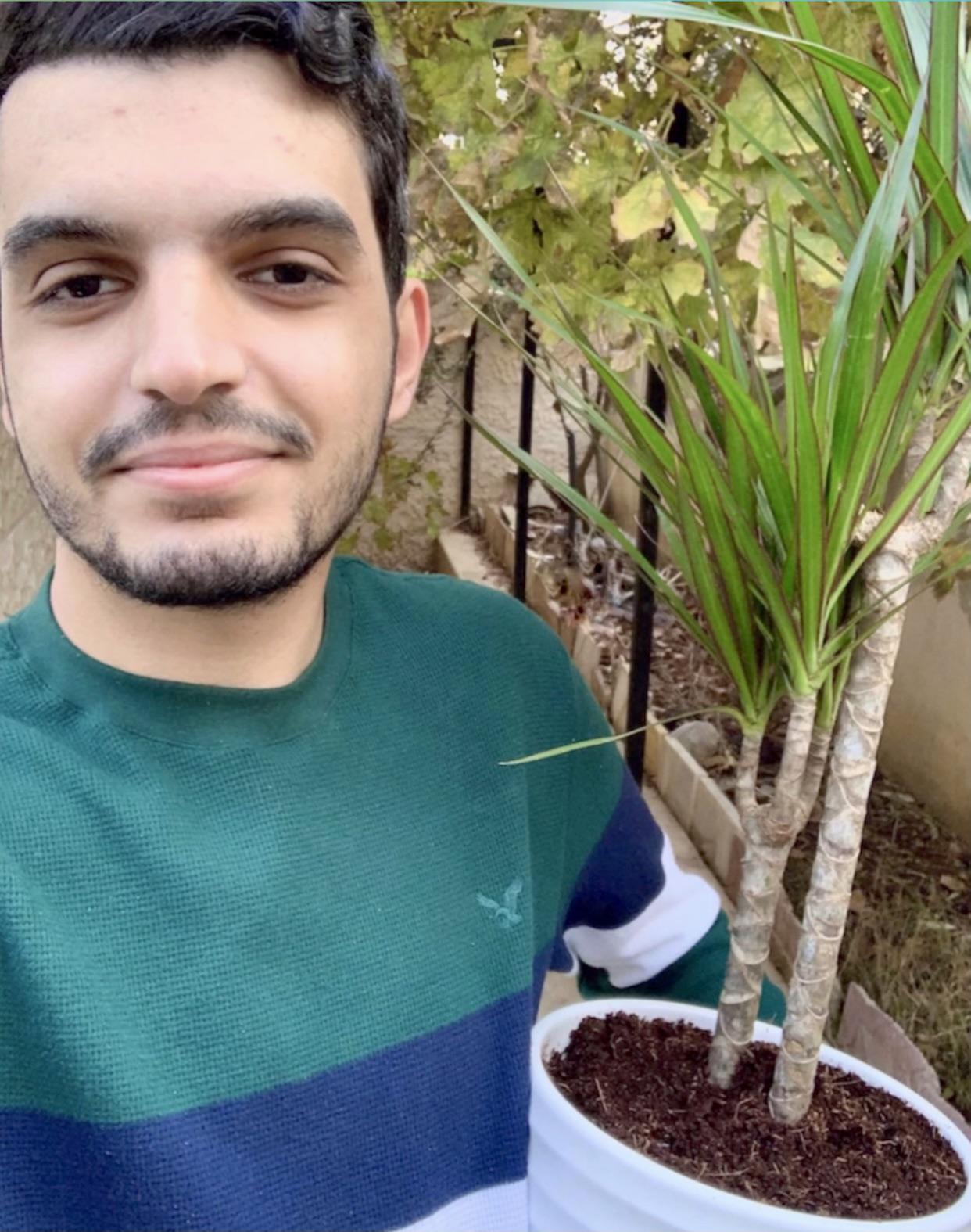 My new dragon tree | Scrolller