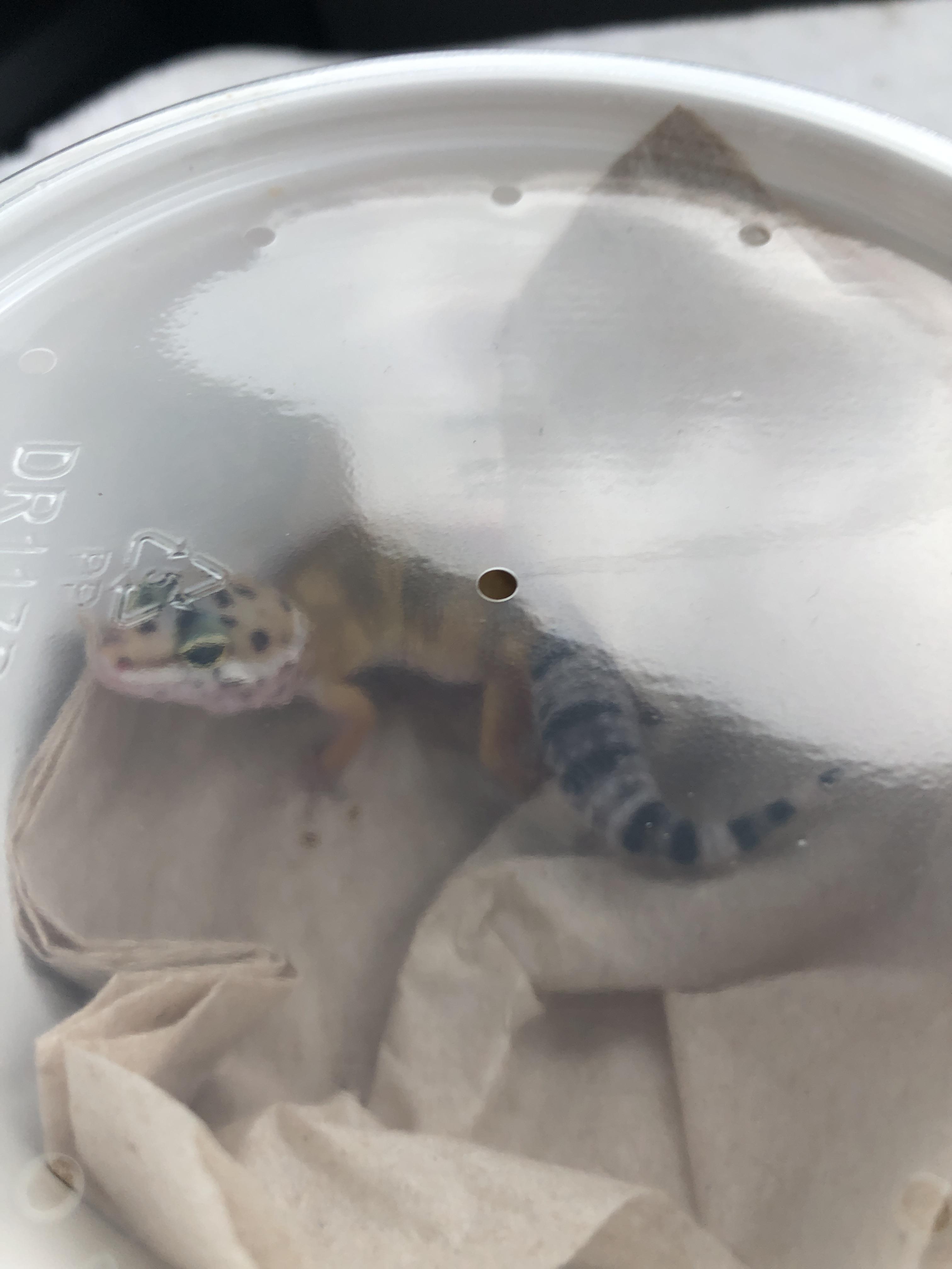 My new little guy | Scrolller