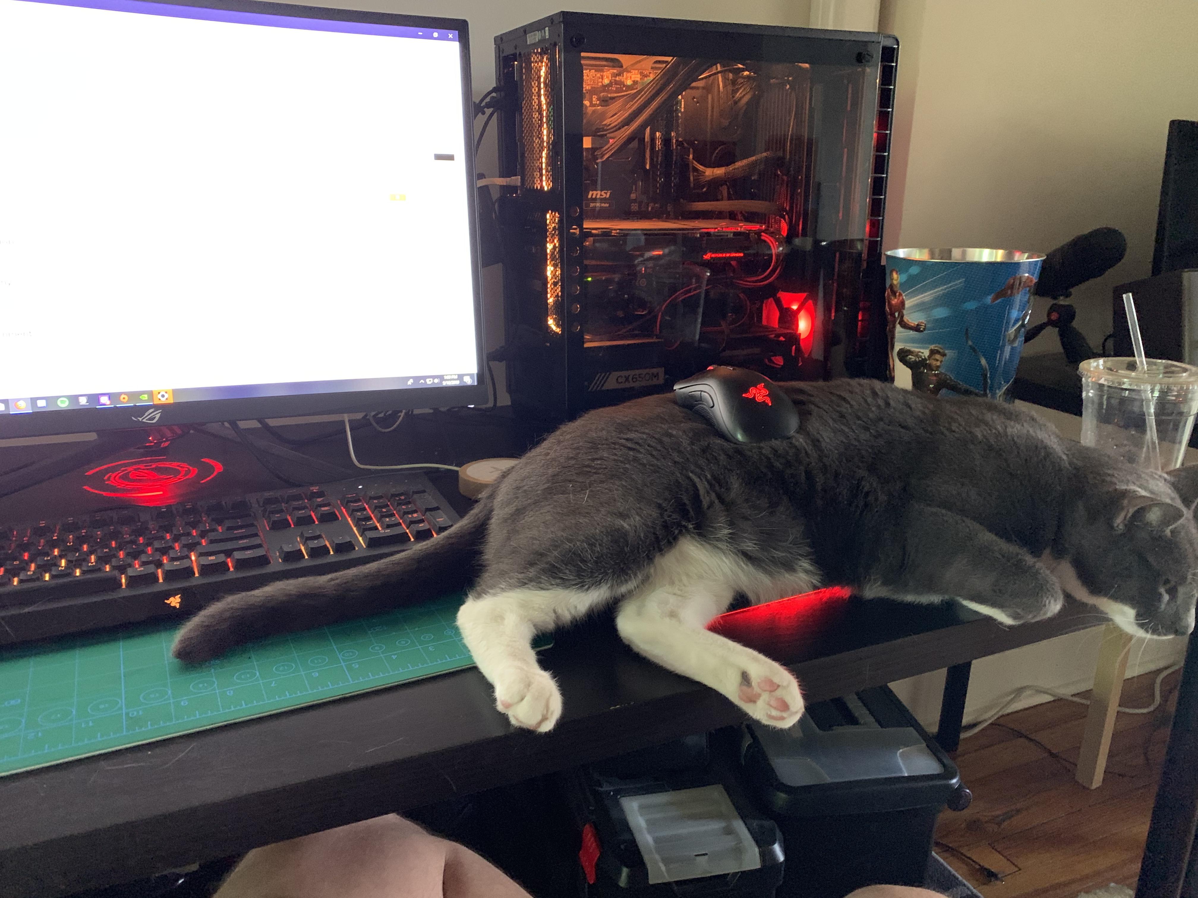 My new mouse pad really brings the whole thing together. | Scrolller