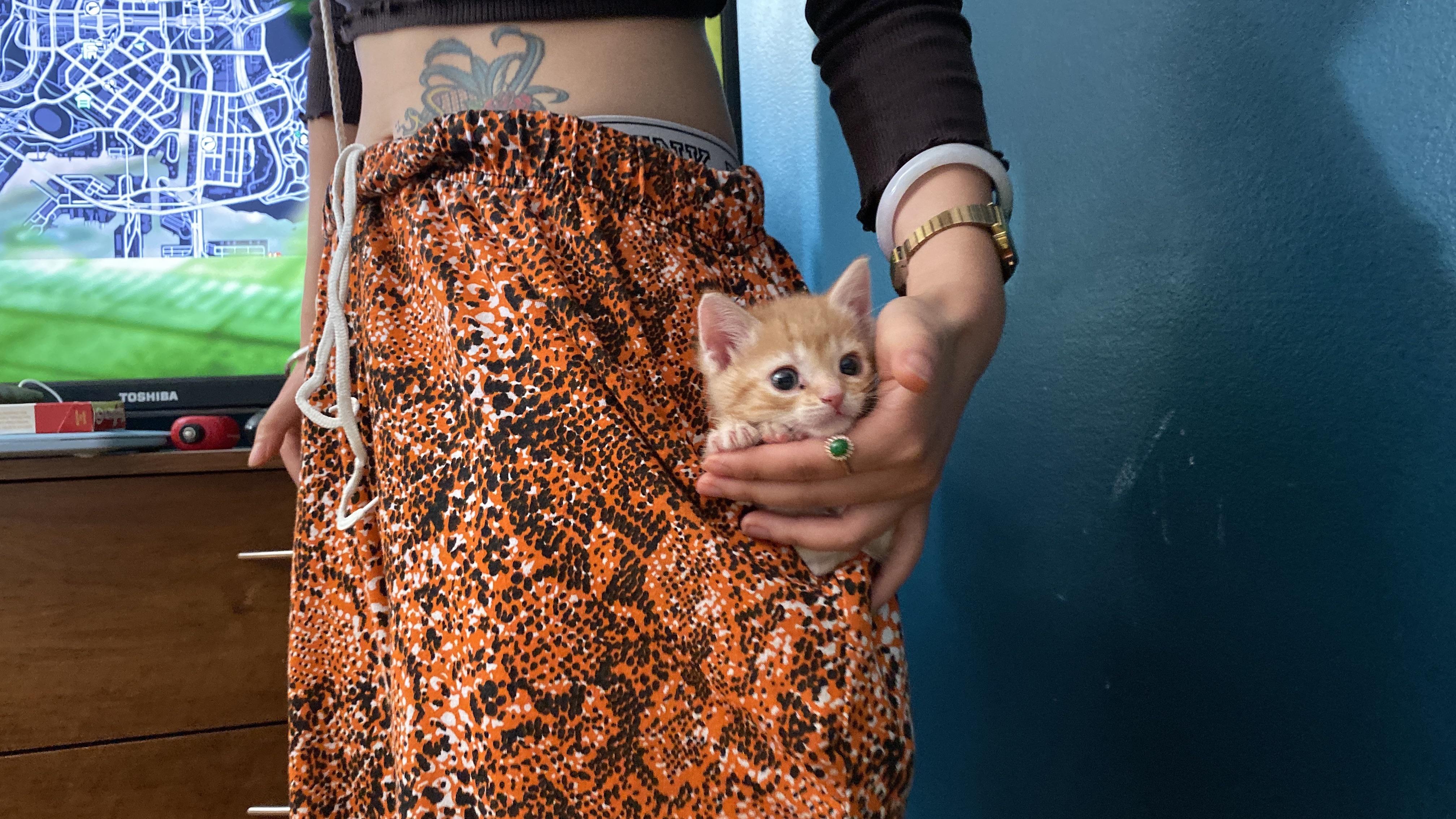 "My new pocket buddy" | Scrolller