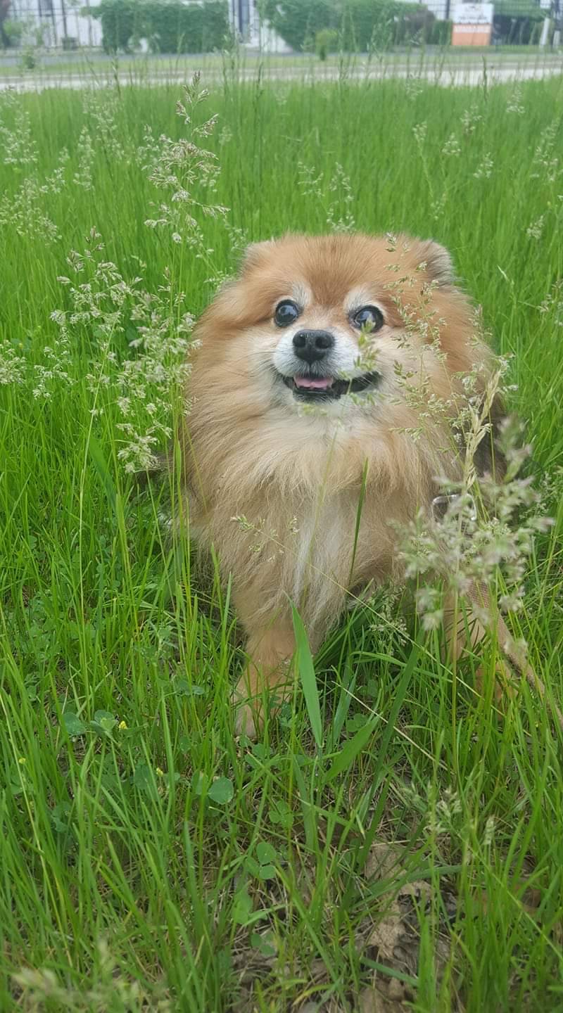 My Old Man Enjoying The Day Scrolller My Old Man Enjoying The Day Scrolller