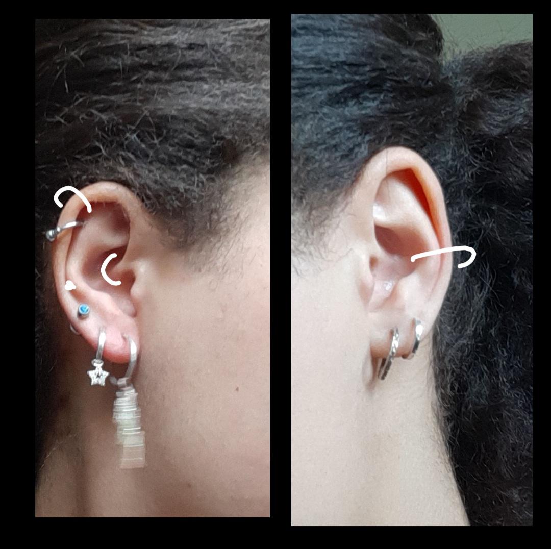 My plan. Anyone better ideas? | Scrolller