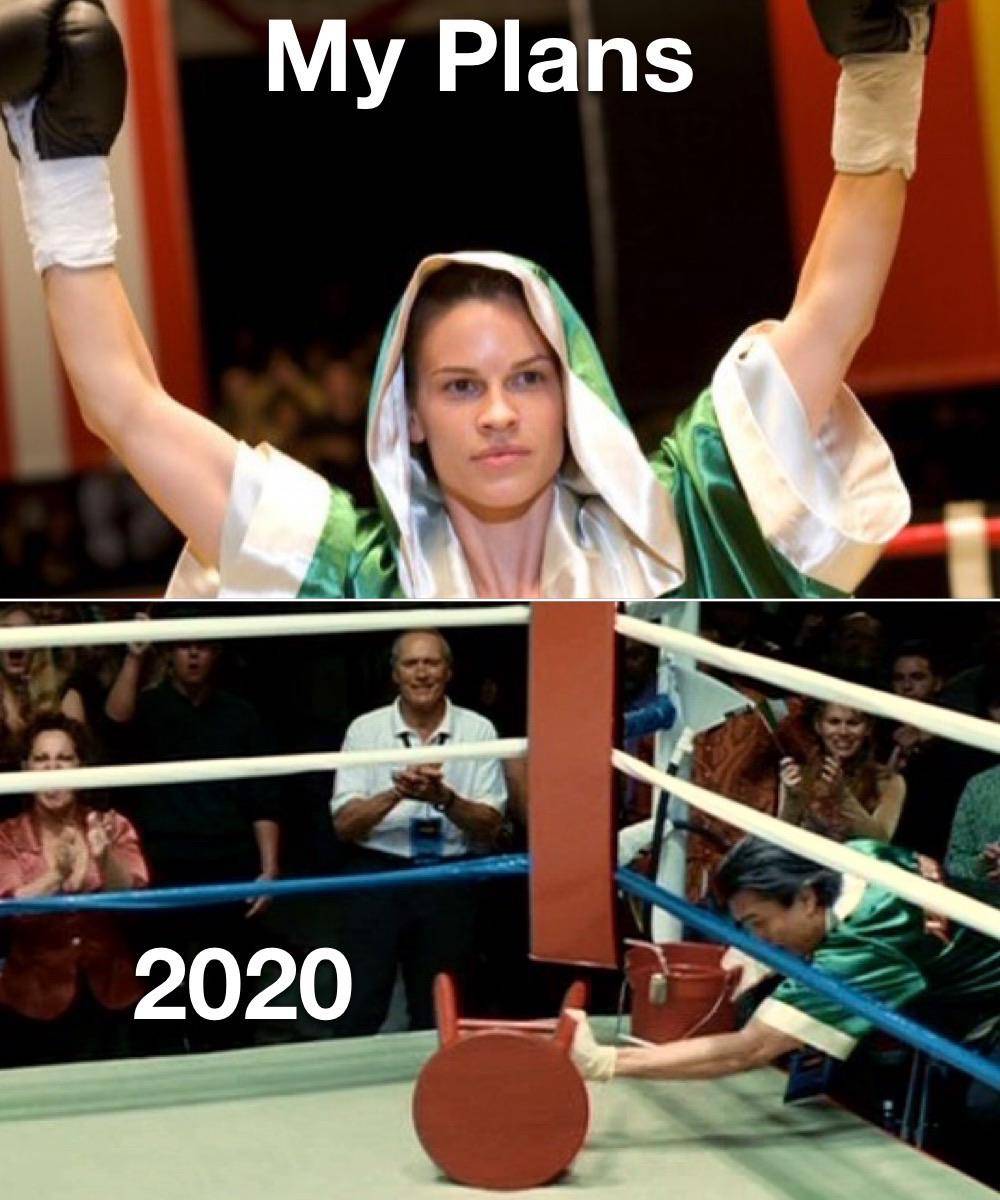 My Plans VS. 2020 | Scrolller