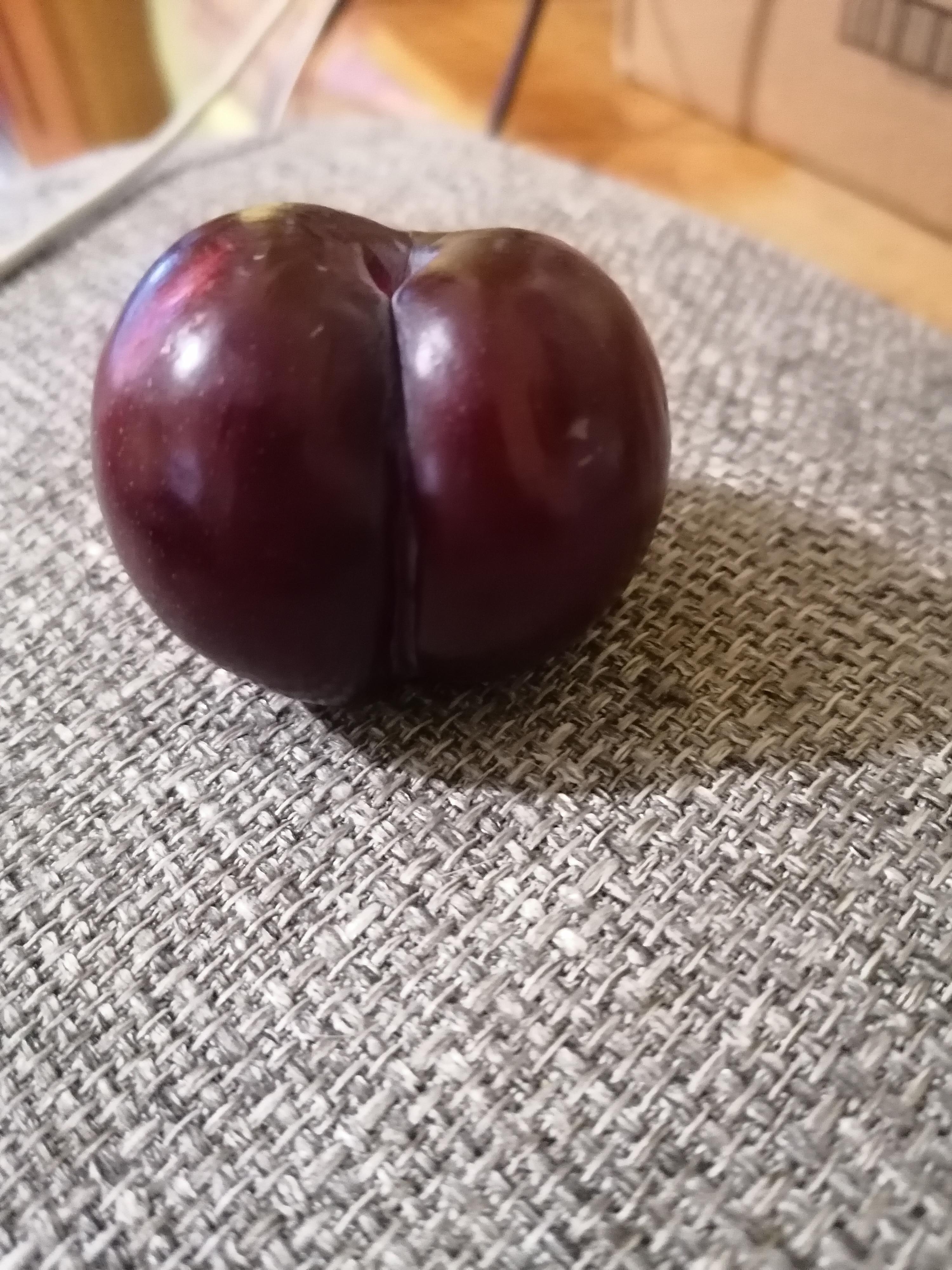 My plum has buns 🤣 | Scrolller