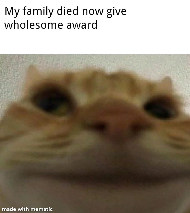 My pp big | Scrolller