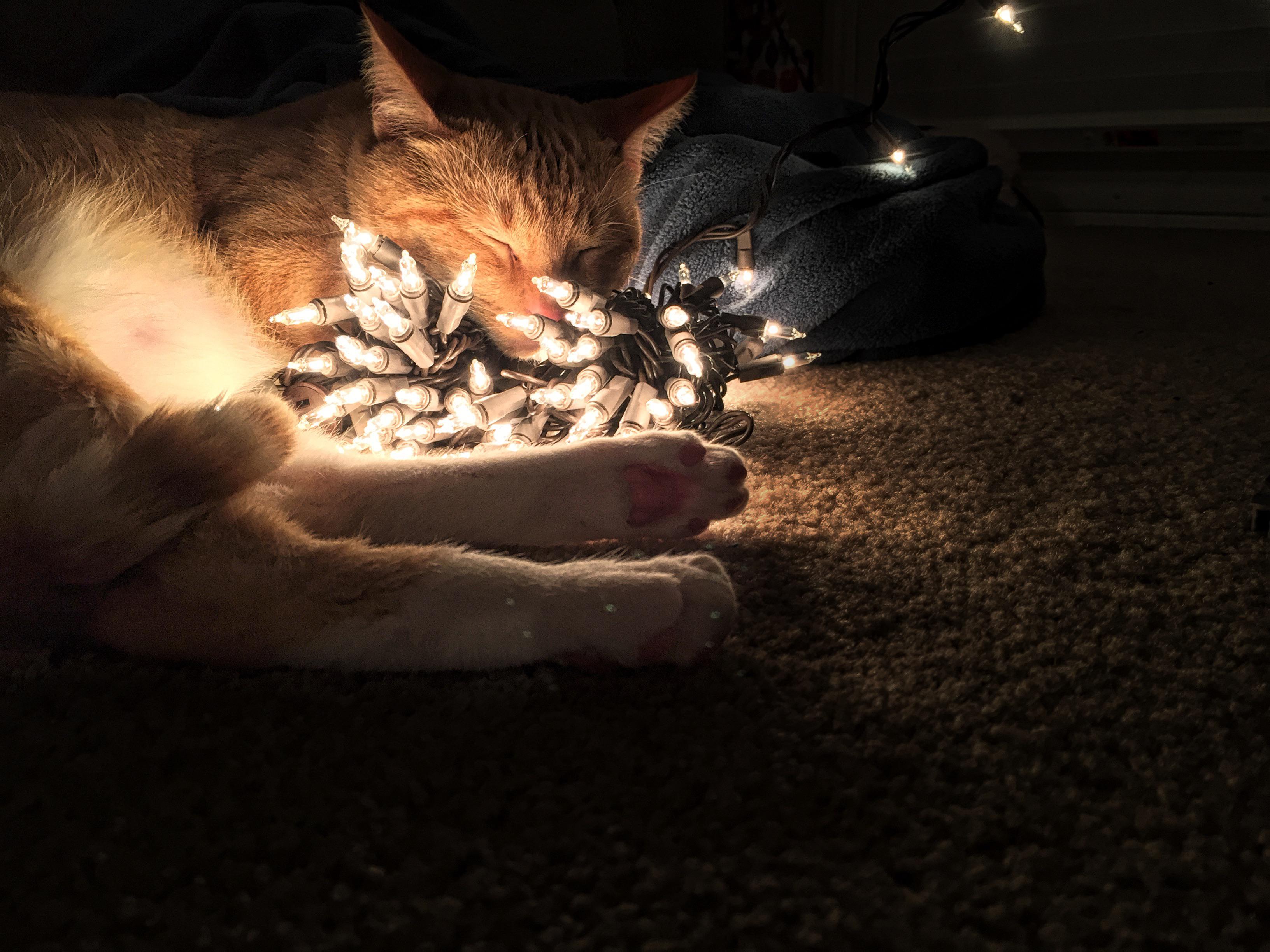 My precious son | Scrolller