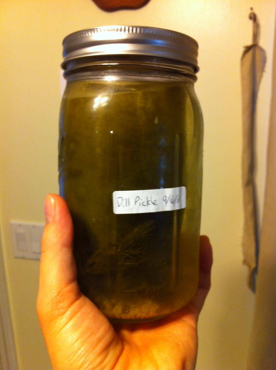 My pride and joy from the last batch of pickle-making. | Scrolller