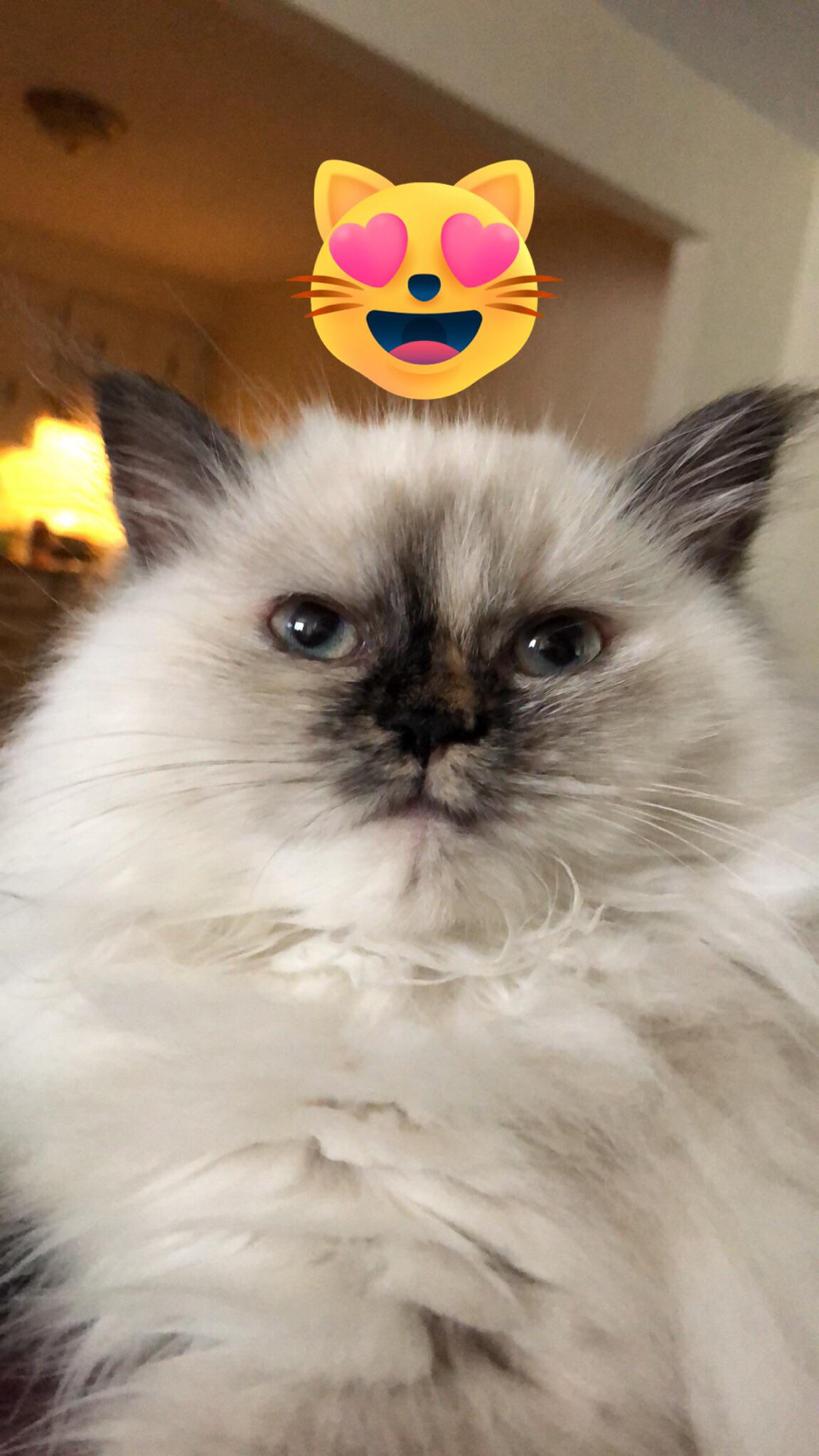 my princess bean!! | Scrolller