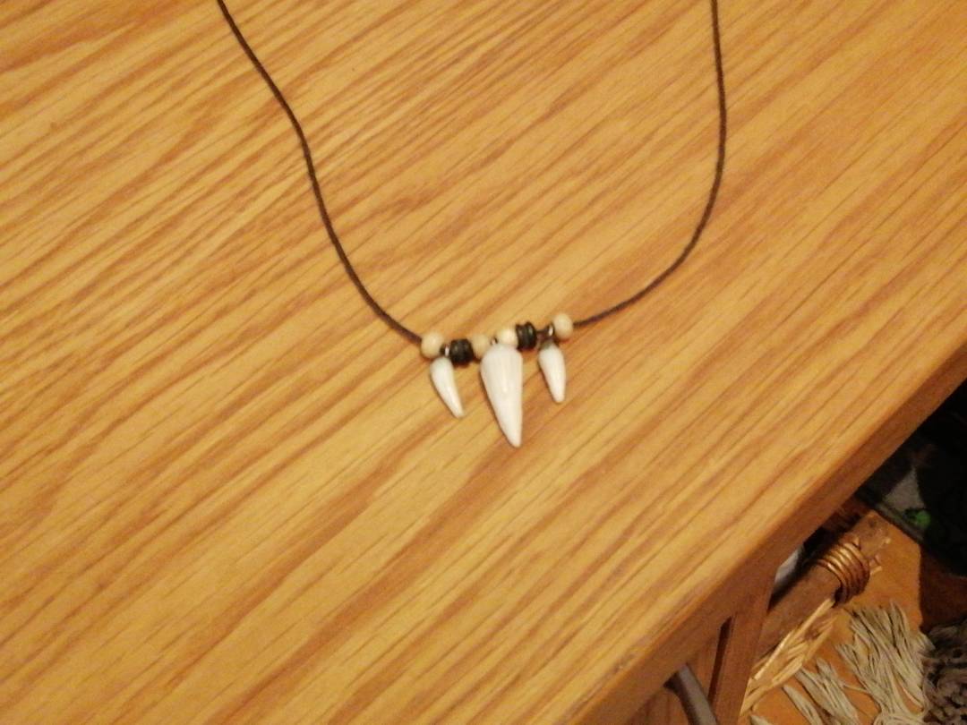 My real life Shark Tooth Necklace! | Scrolller