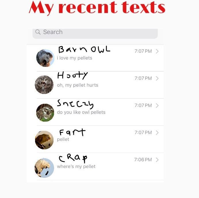 My recent texts: owl pellet edition | Scrolller