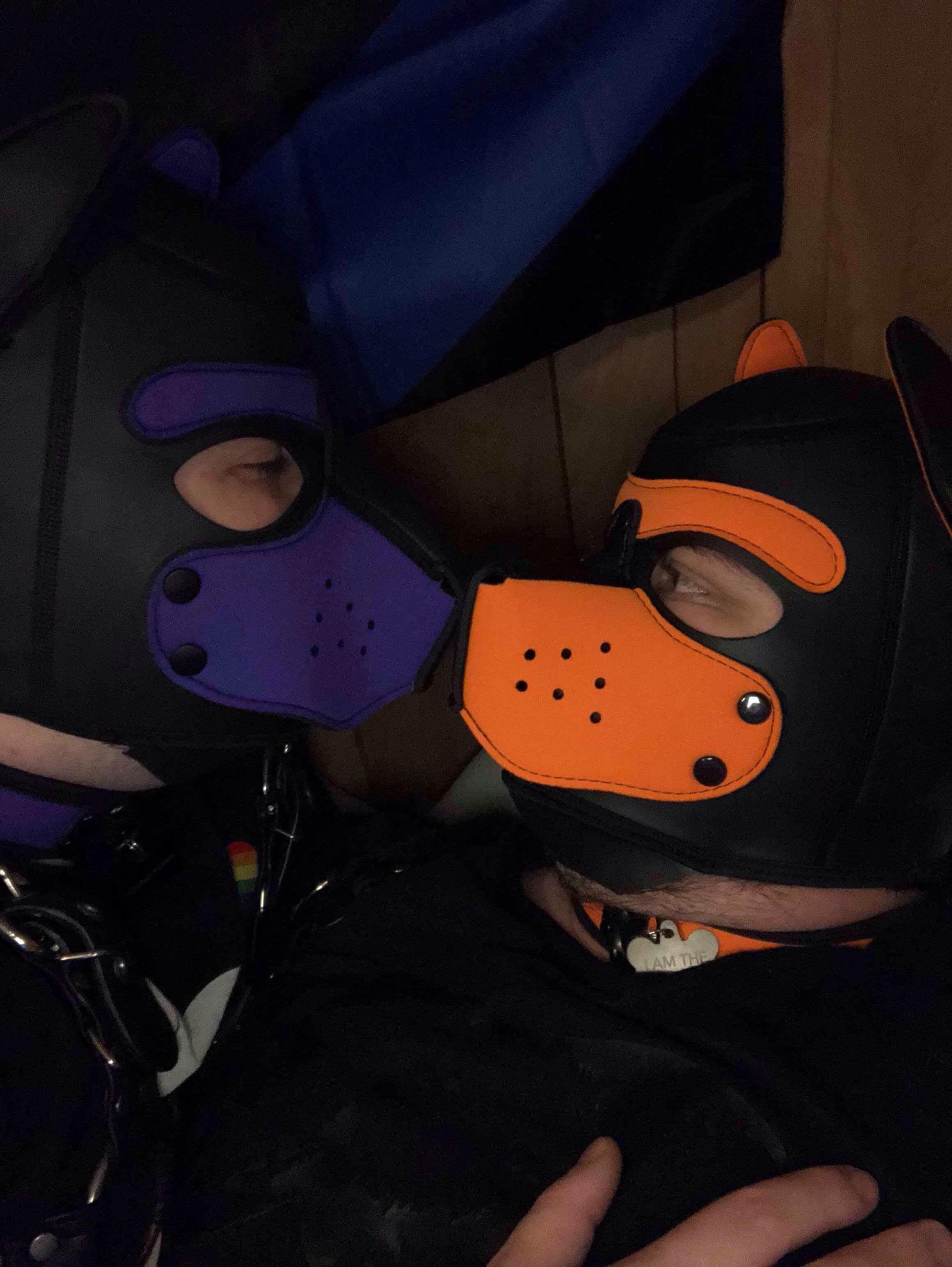 My S/O introduced me to pup play a few months ago. Proud to have my very own hood! My name is ...
