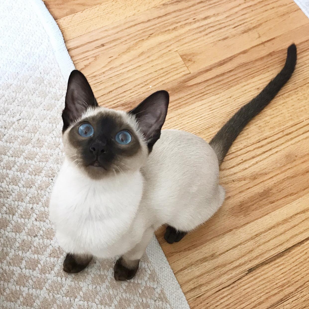 My Sally girl turned 5 months old today! | Scrolller