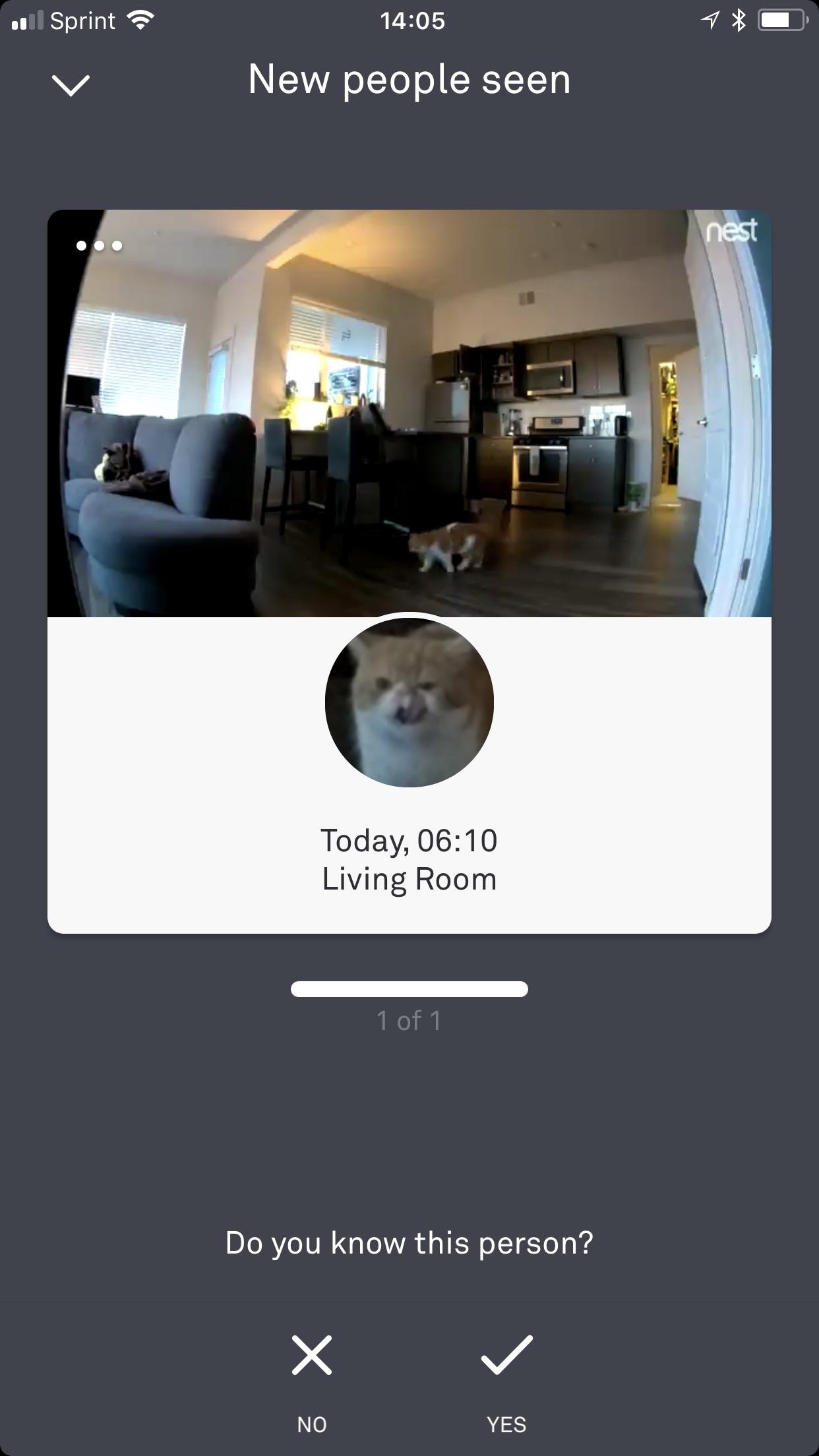 My security camera caught this shady character | Scrolller