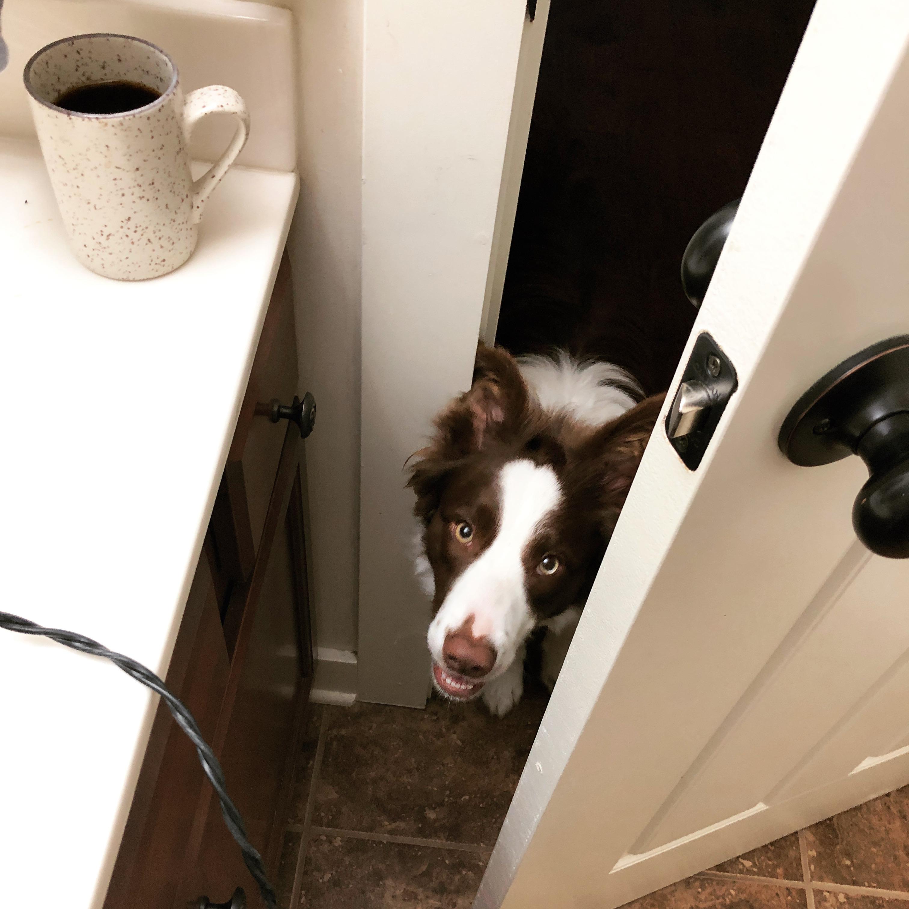 My Shadow рџђ Scrolller