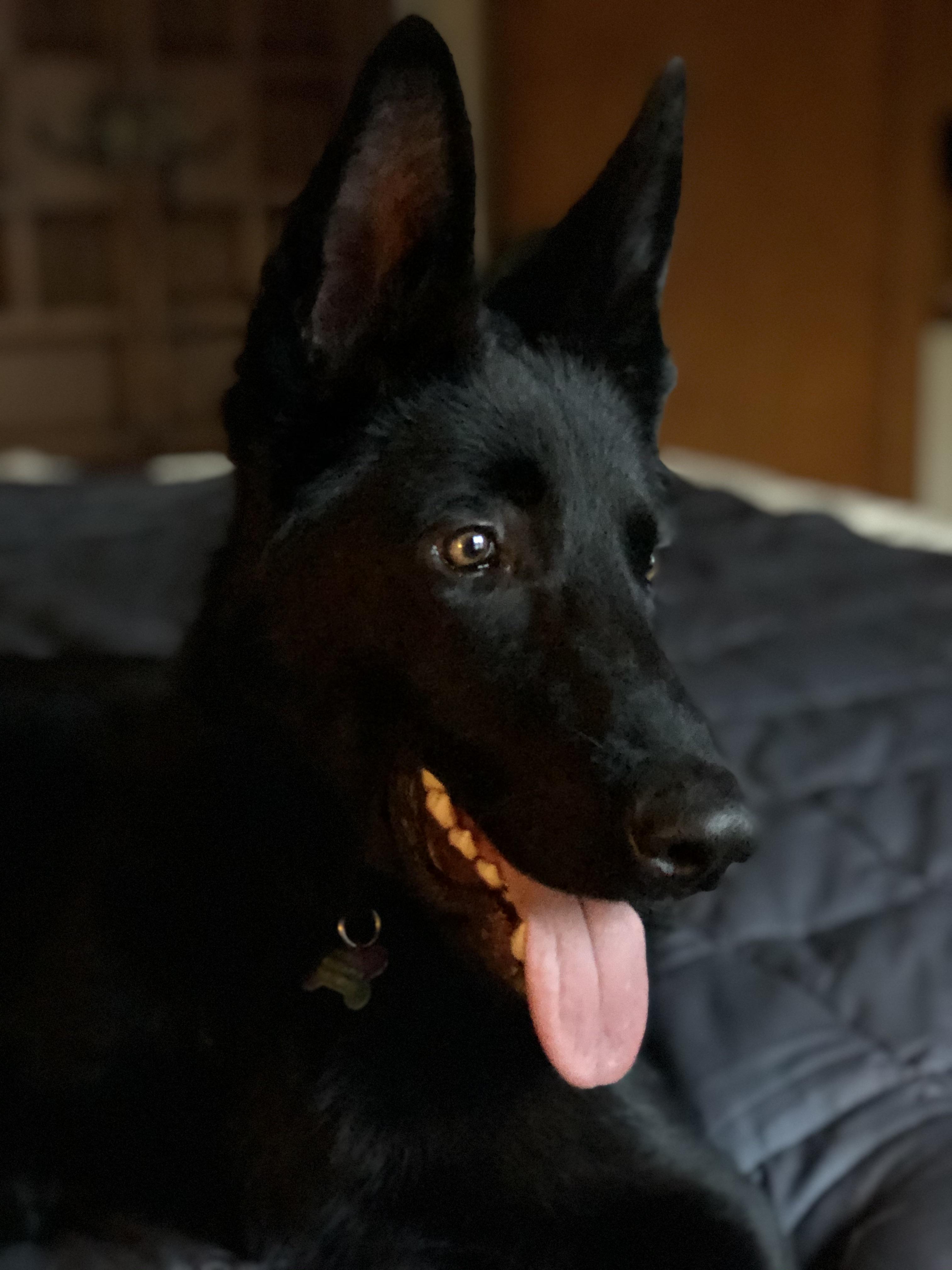 My Shadow. | Scrolller