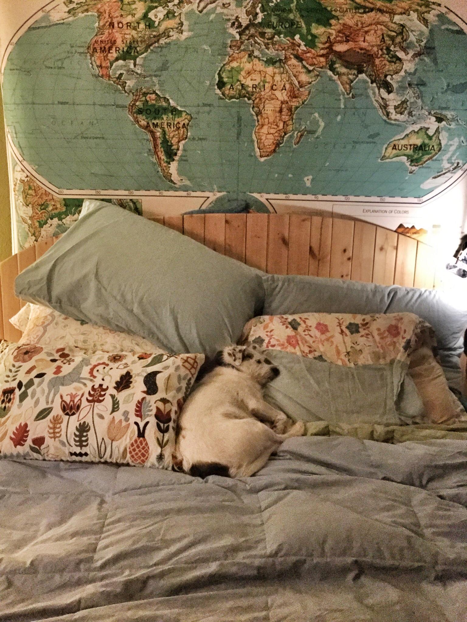 My sleepy Buddy | Scrolller