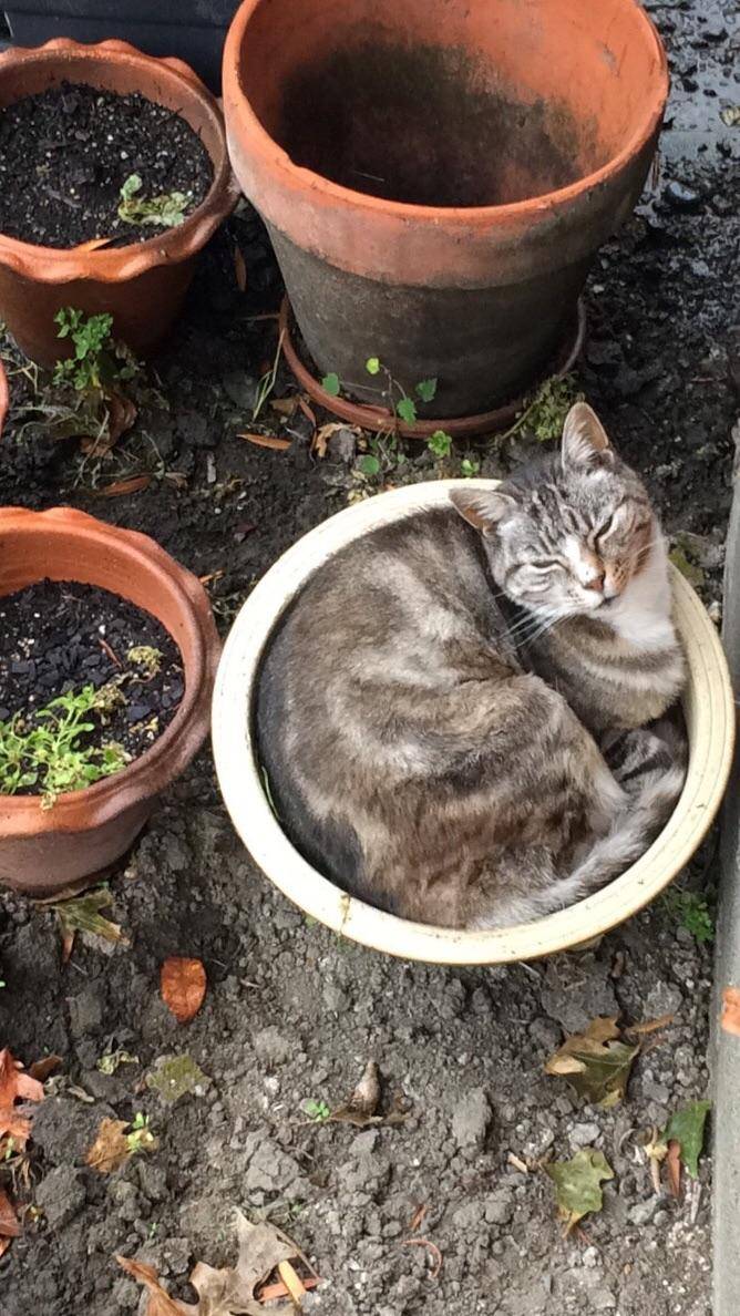 My small girl is 13 years old and still loves a potted sit! | Scrolller