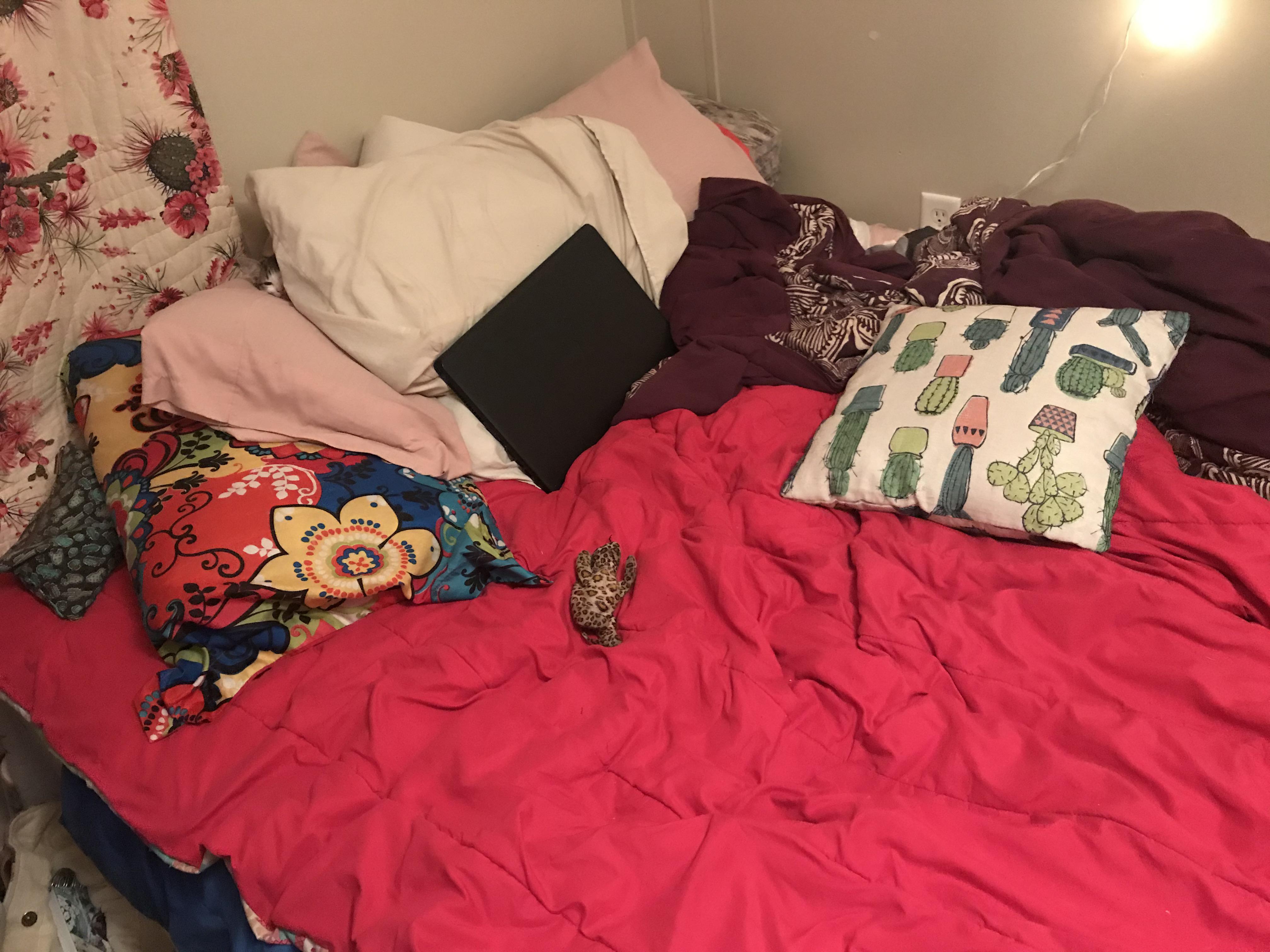 My smol boy Dovah sleeping in my pillows | Scrolller