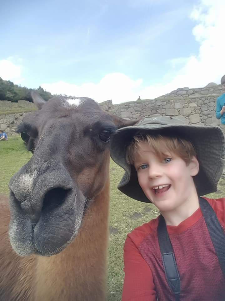My son's llama selfie from Machu Pichu | Scrolller