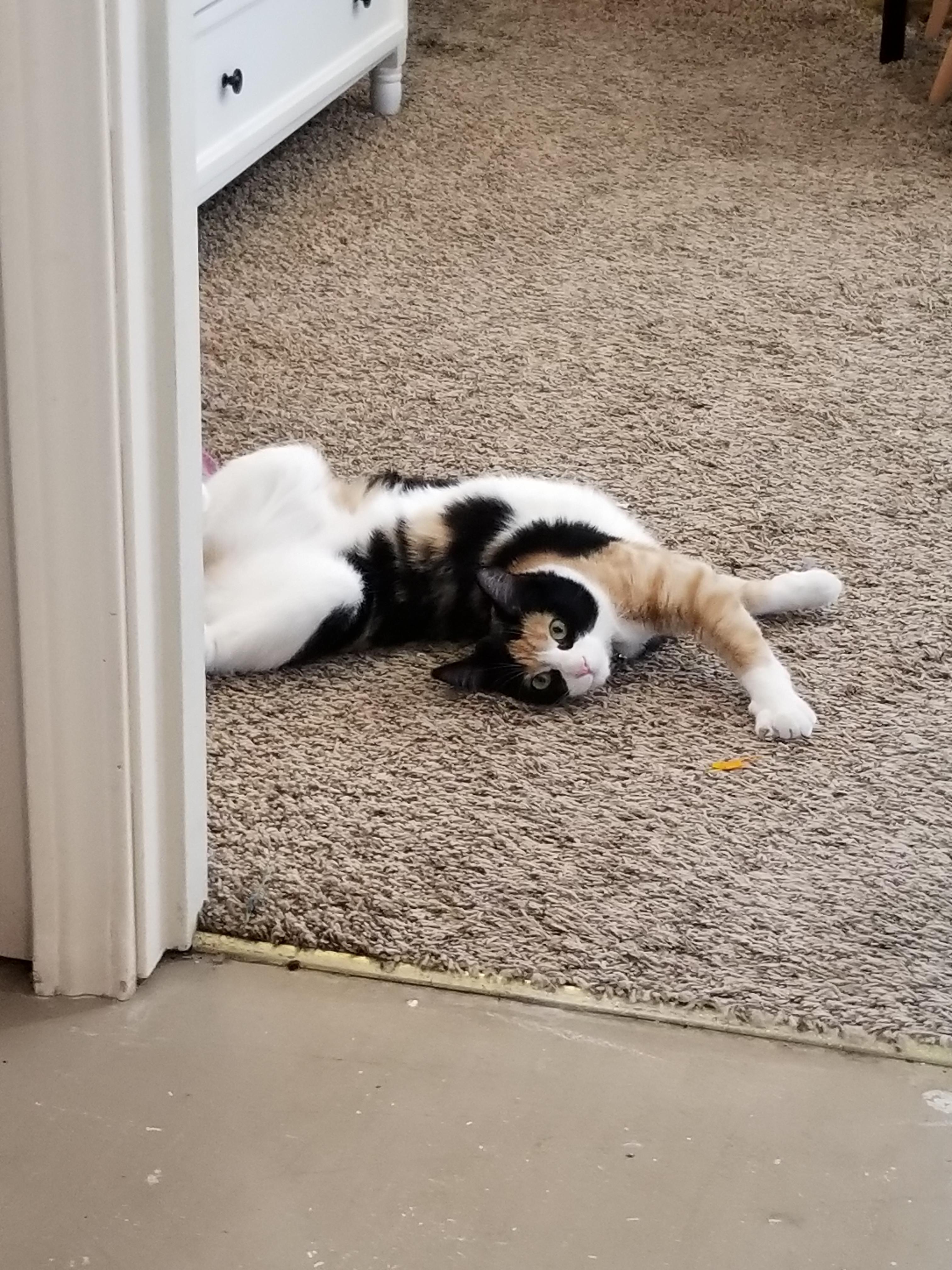 My special noodle | Scrolller