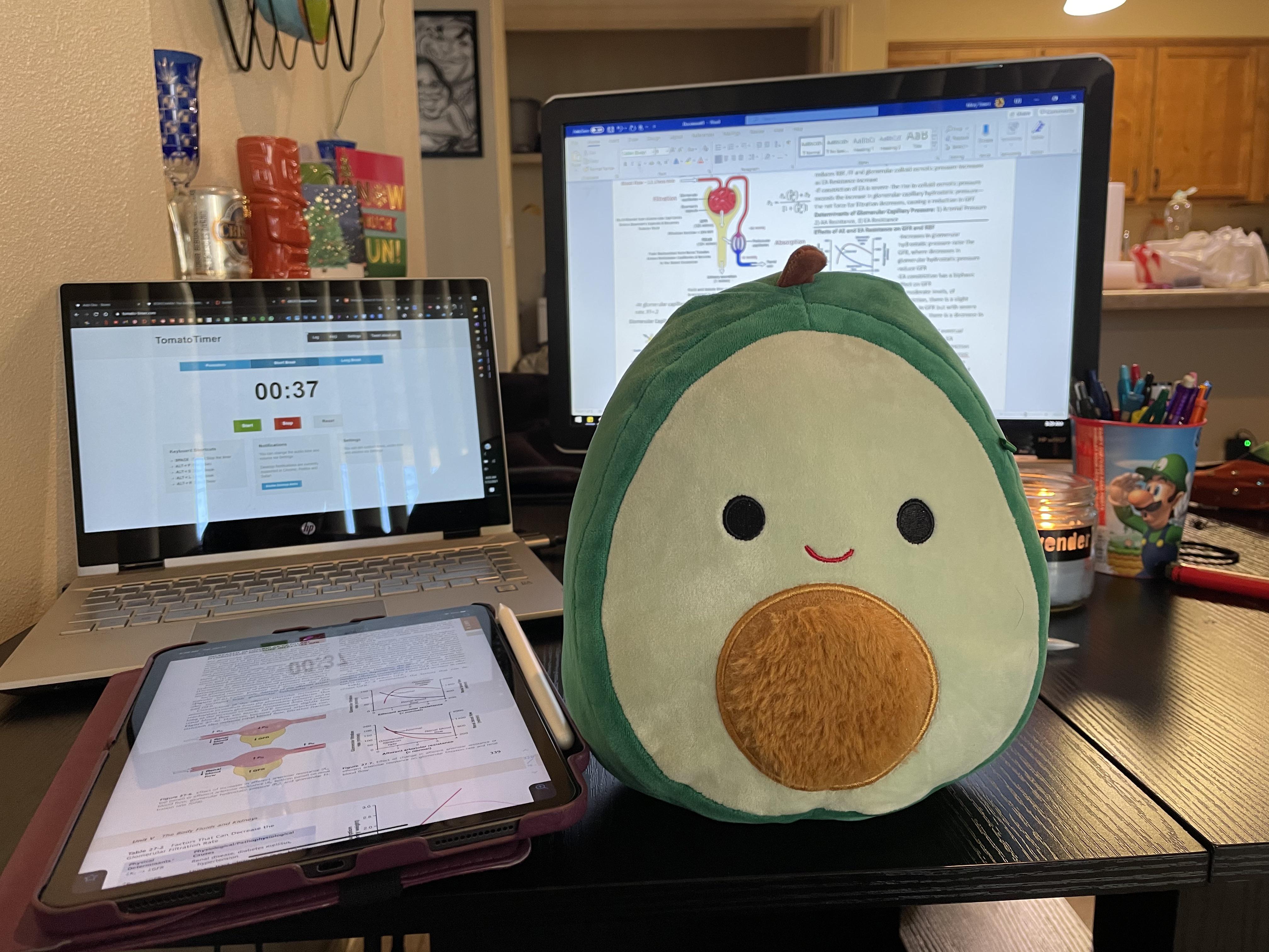 My study buddy for the day | Scrolller